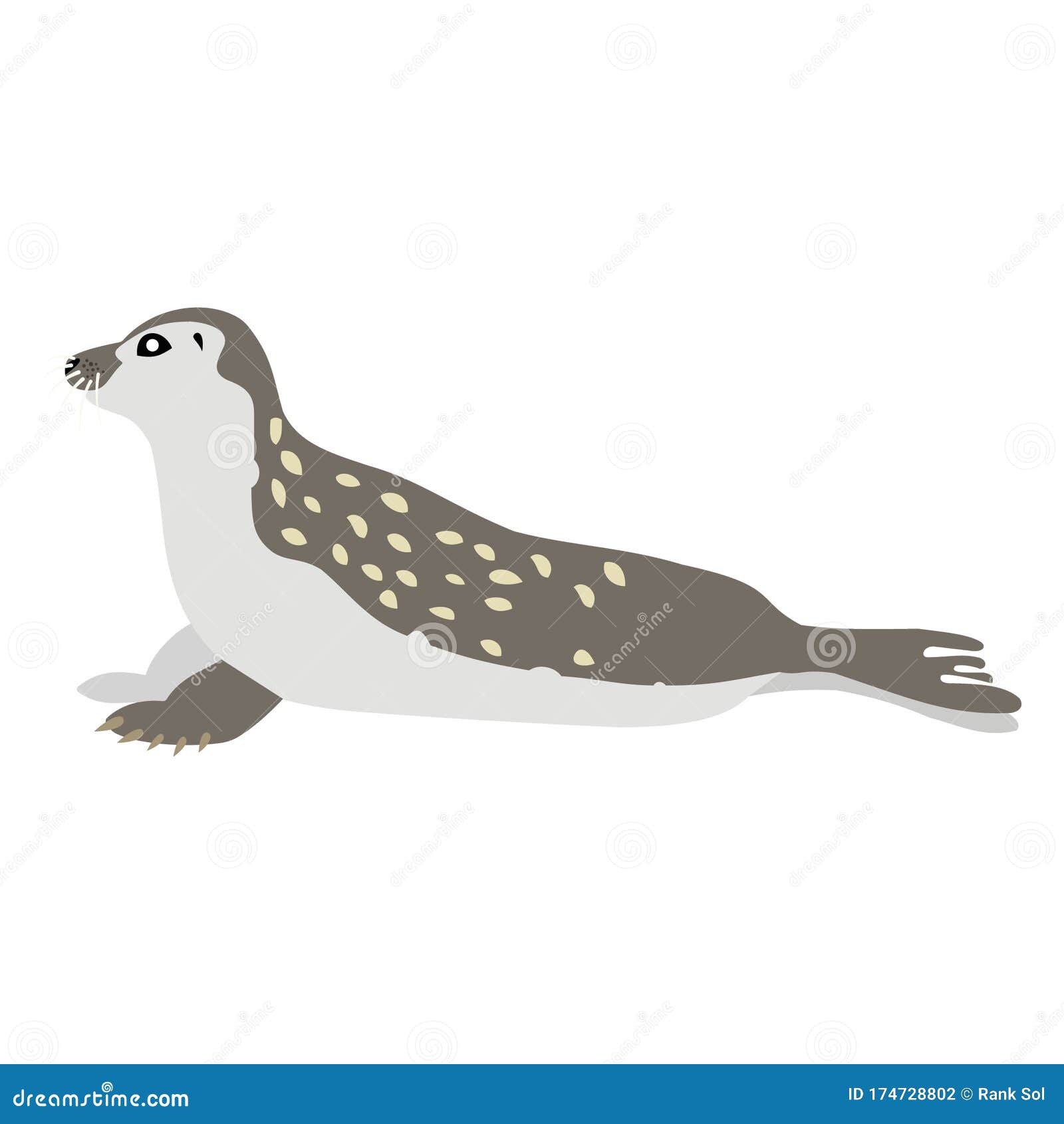 Animal, Common Seal Color Vector Icon Which Can Be Easily Modified or ...