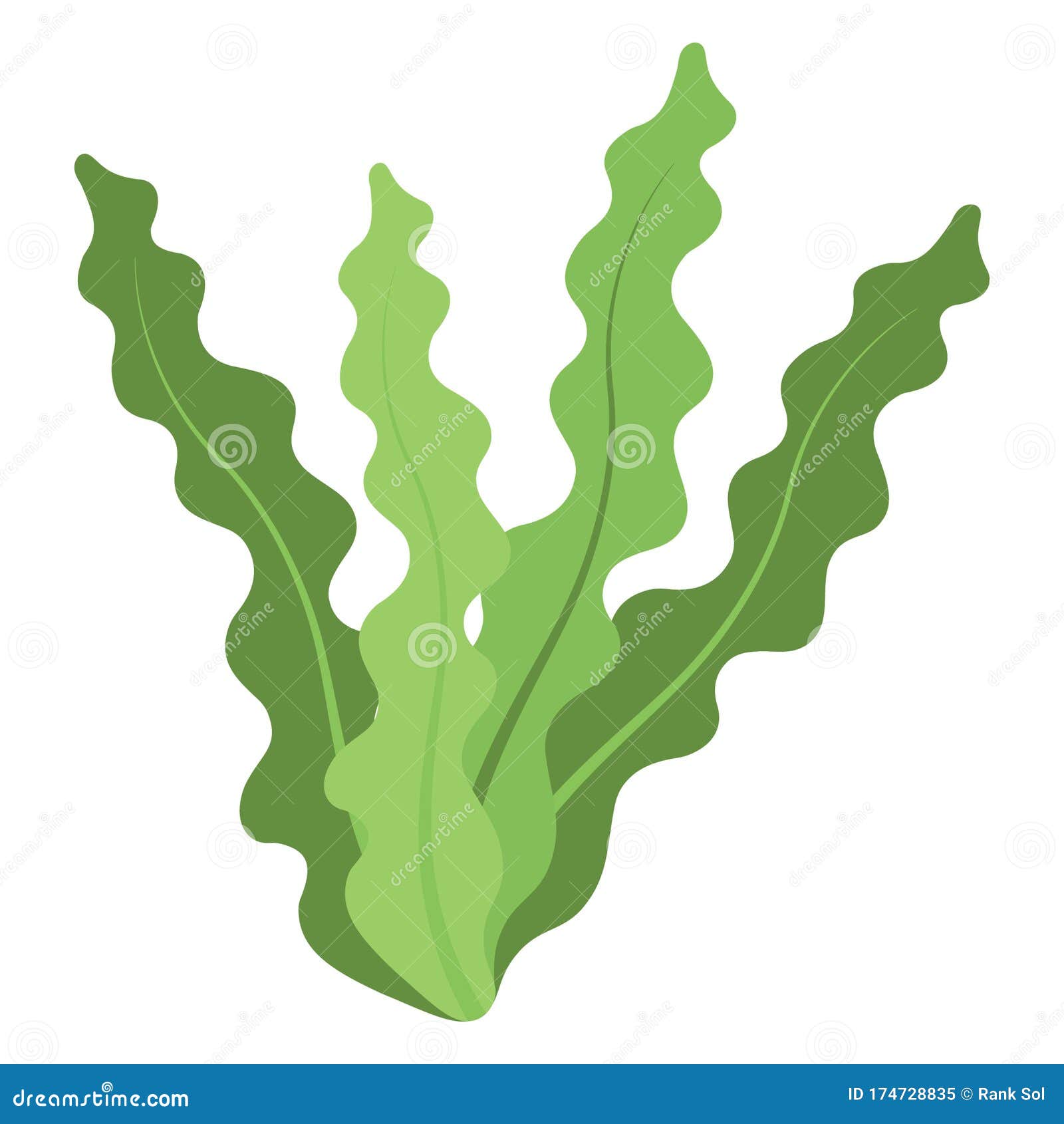Algae, Algae Bloom Color Vector Icon Which Can Be Easily Modified or ...