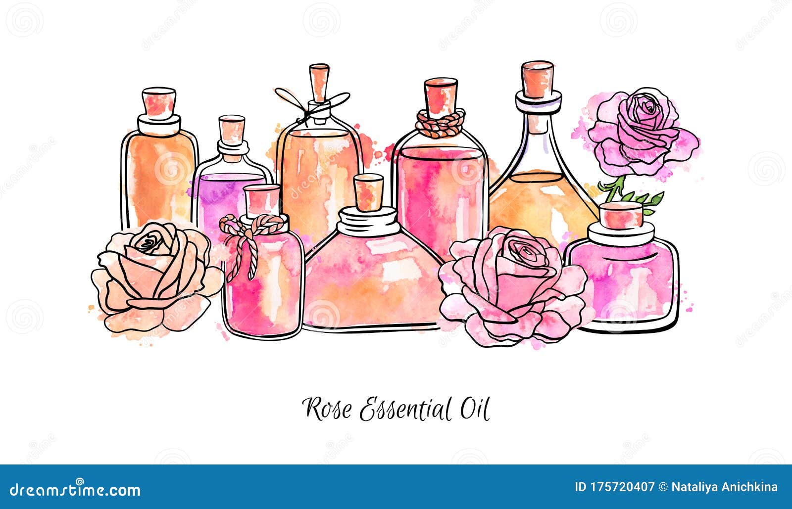 Rose Essential Oil. Hand Drawn Vector Illustration of Glass Bottles in ...