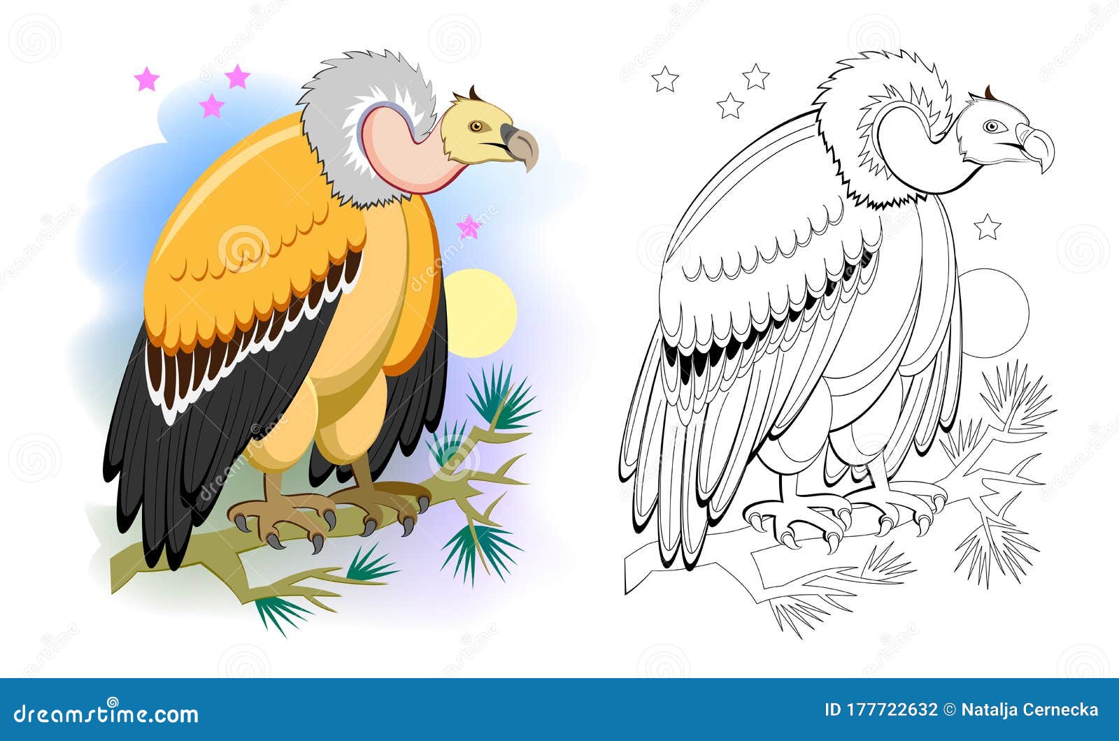Illustration Of Vulture Vocabulary Part Of Body | CartoonDealer.com ...