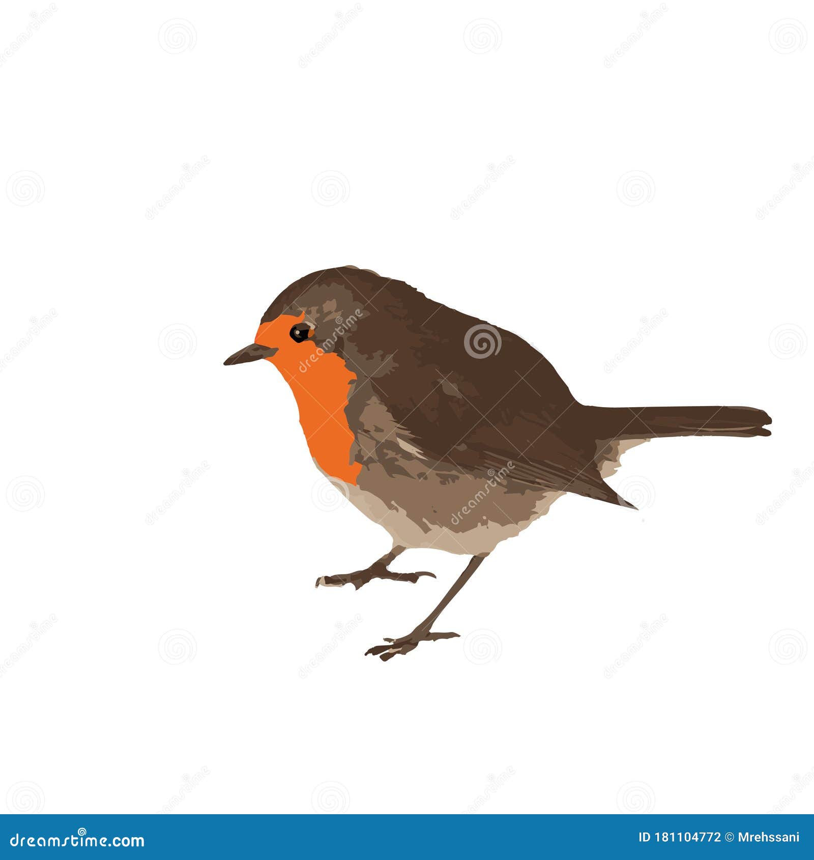 The Vector Illustration of Robin Sitting on Ground in White Background ...