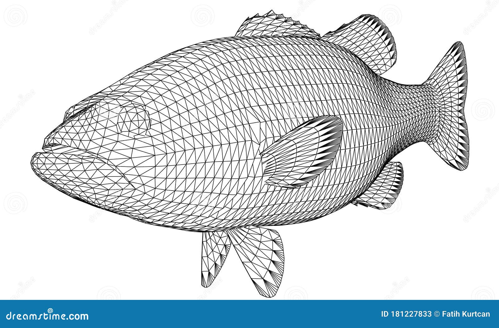Black Sea Bass Or Asian Sea Bass Side View Retro Woodcut Black And ...