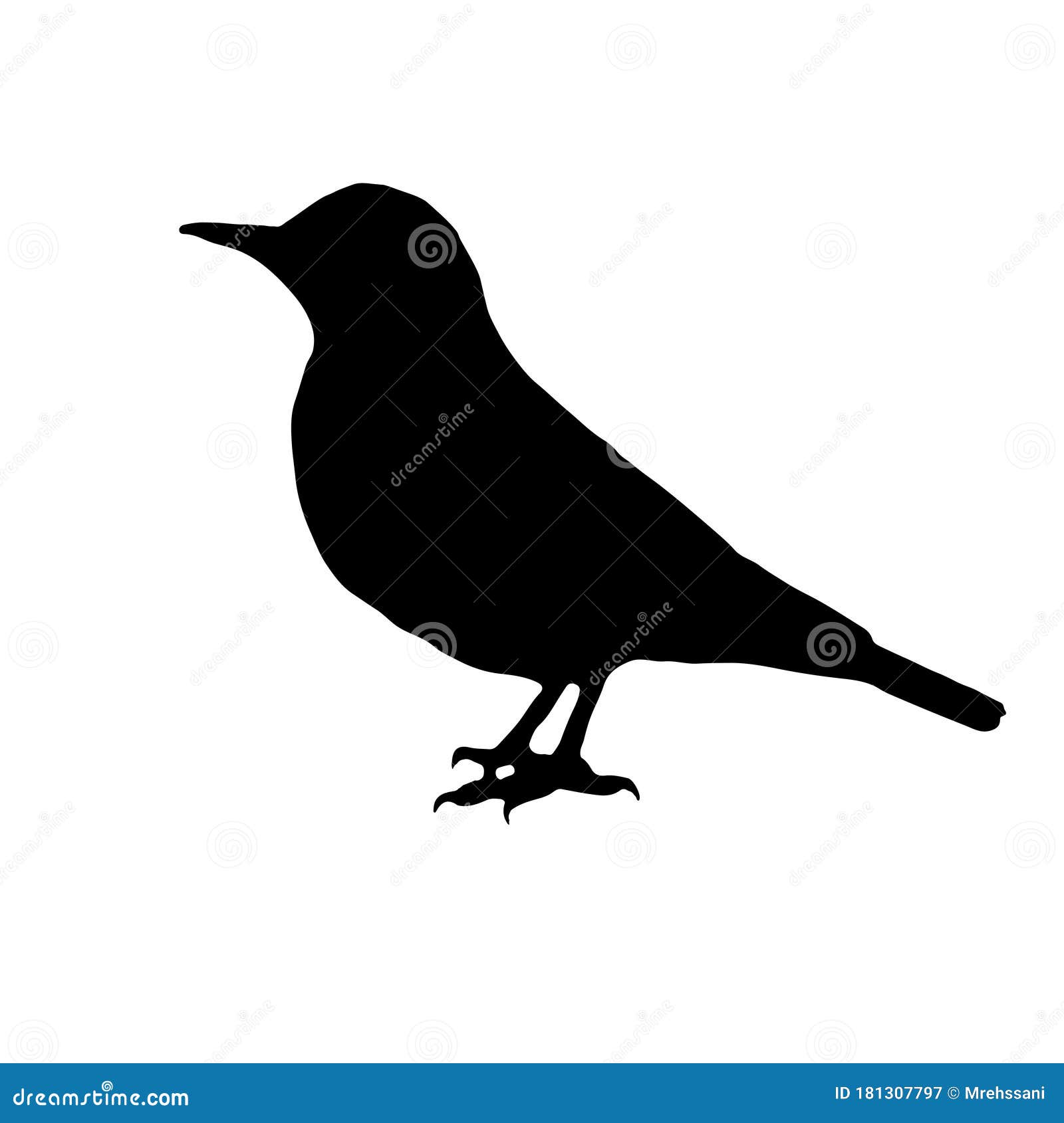 The Vector Illustration Silhouette of Thrush Bird Sitting on Ground in ...