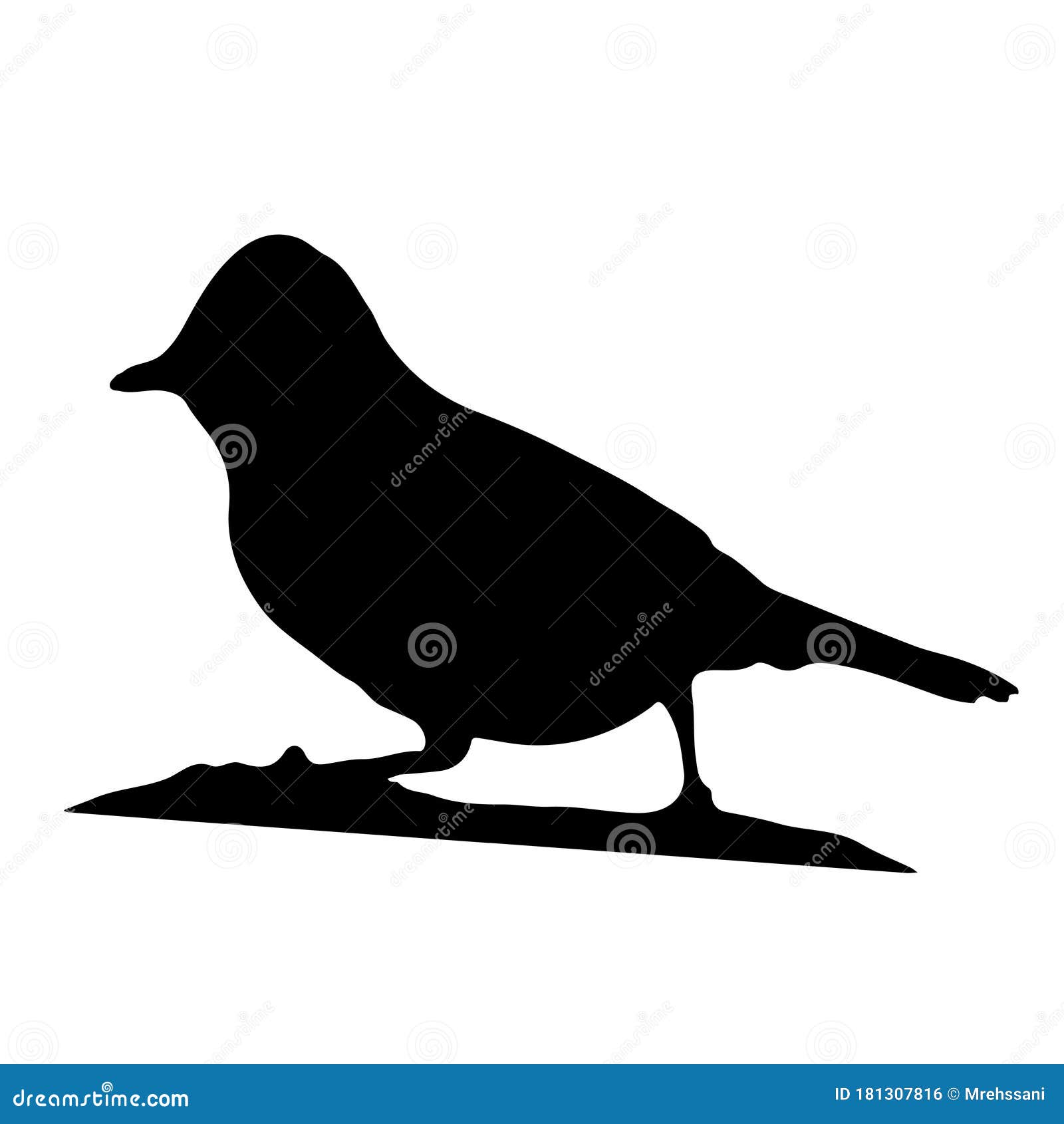 The Vector Illustration Silhouette of Finch Bird Sitting on Ground in ...