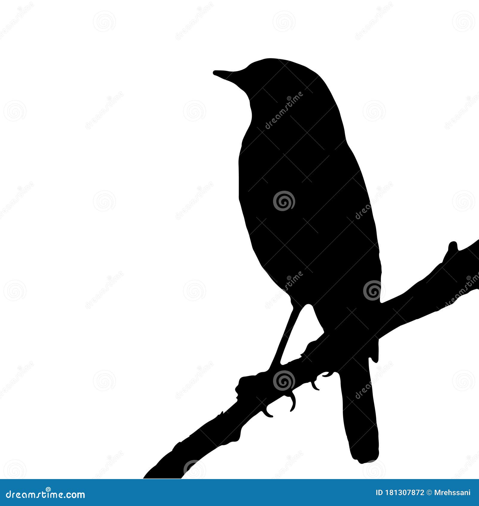 Passerine Cartoons, Illustrations & Vector Stock Images - 3409 Pictures ...