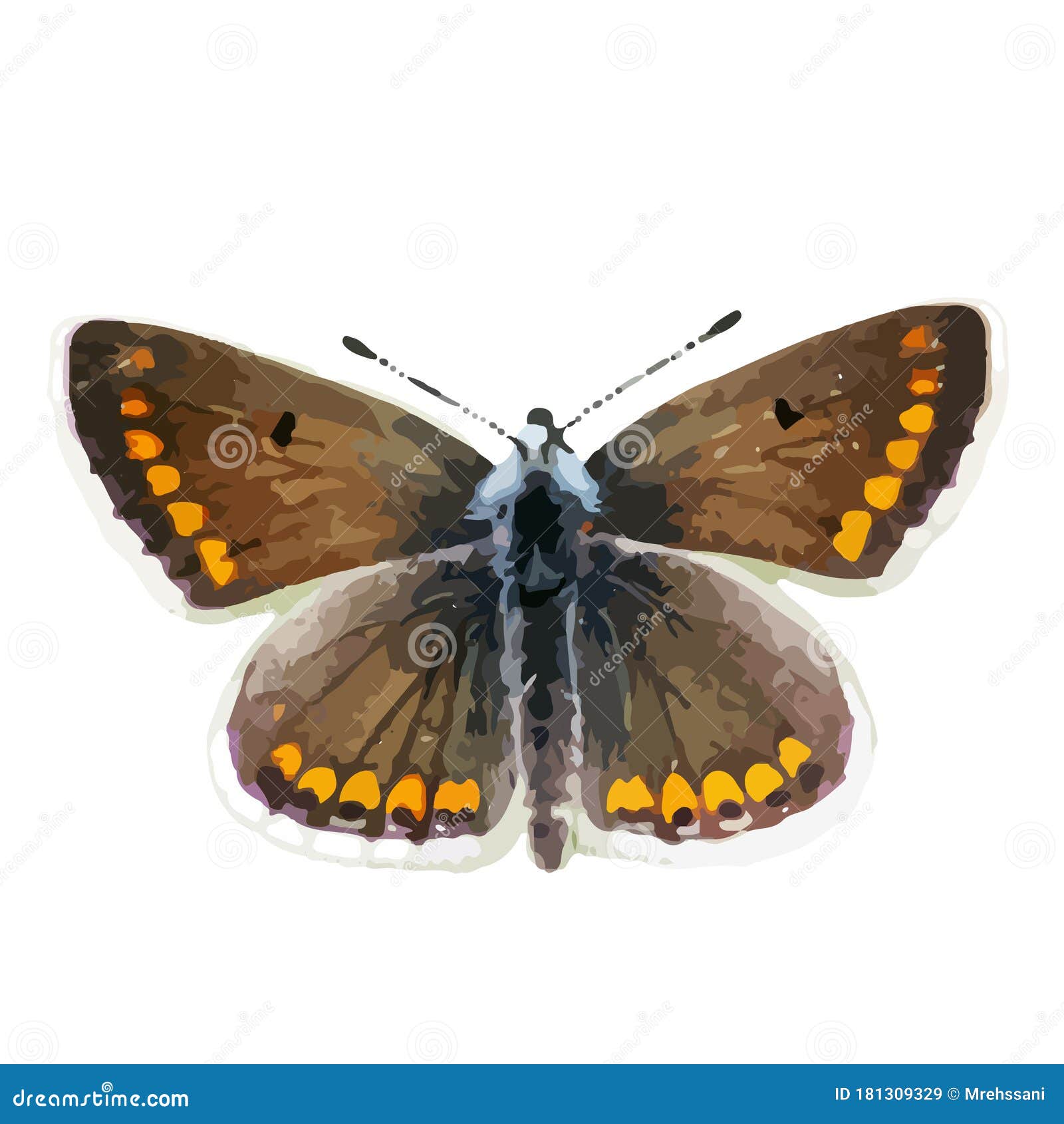 Argus Cartoons, Illustrations & Vector Stock Images - 727 Pictures to ...