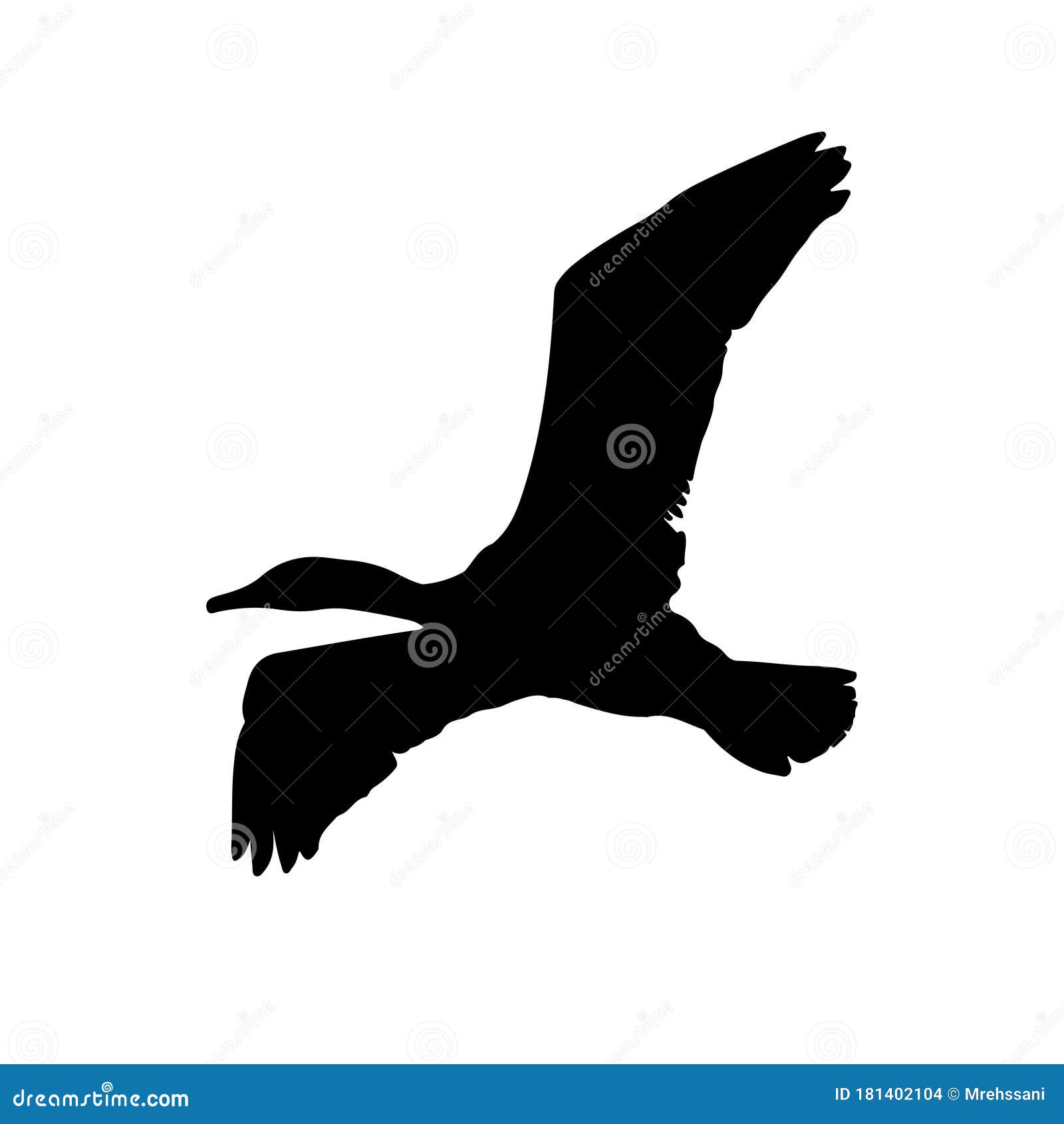 Flying Cormorant Stock Illustrations – 126 Flying Cormorant Stock ...