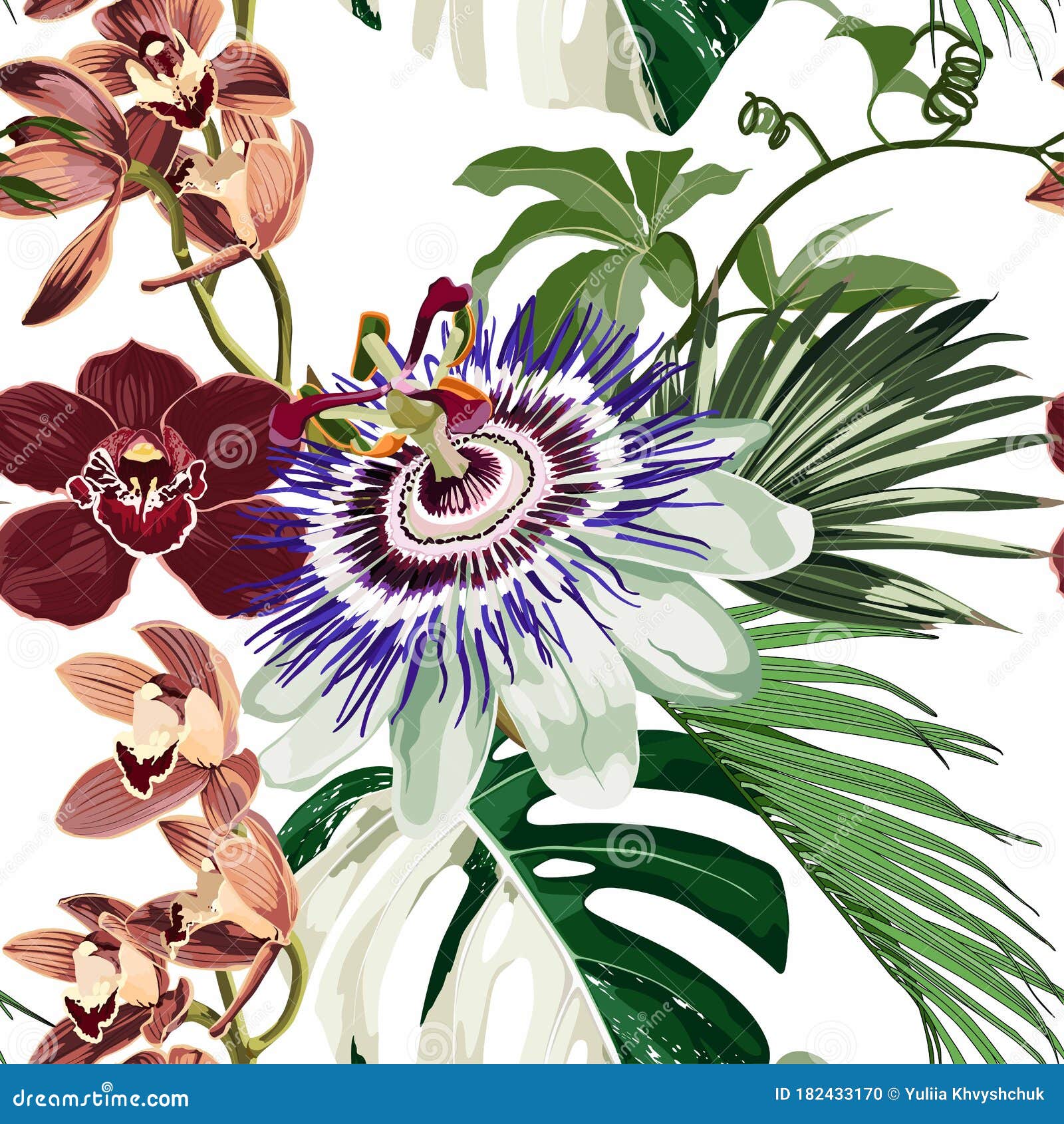 Passionflower Tropical Flowers and Many Kind of Orchids. Passiflora ...