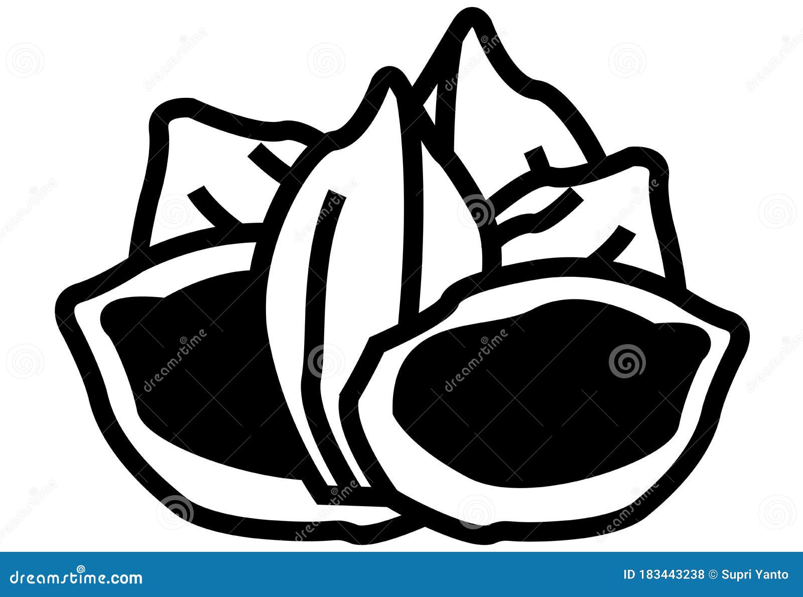 Carica Logo Fruit Design, Set of Vector Illustration. Stock Vector ...