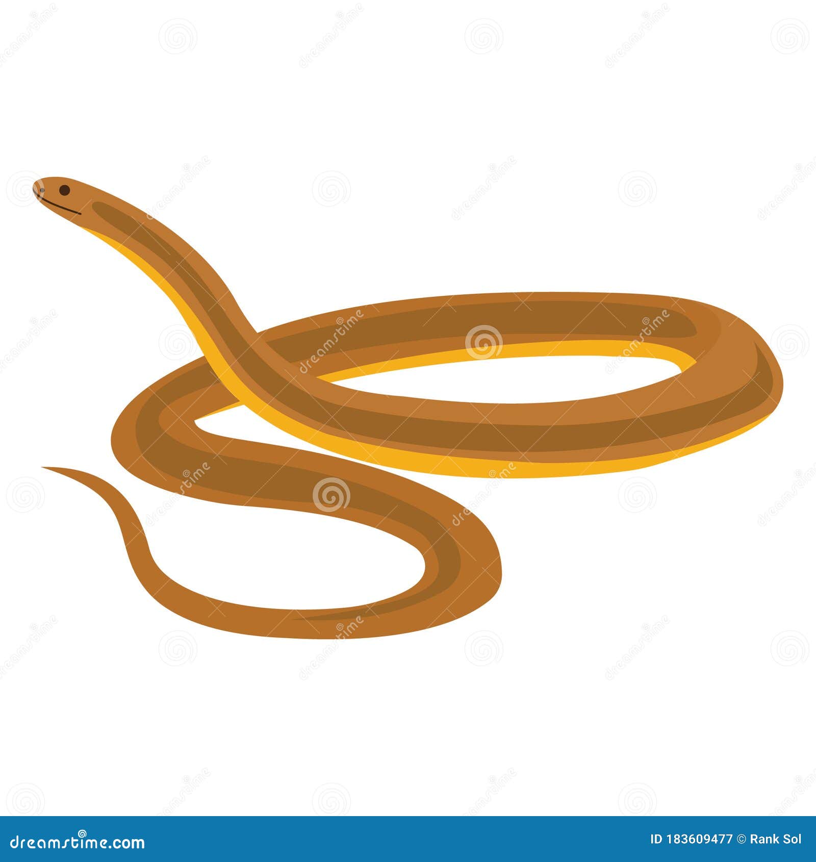 Anaconda Vector Icon Illustration Which Can Easily Modify or Edit Stock ...