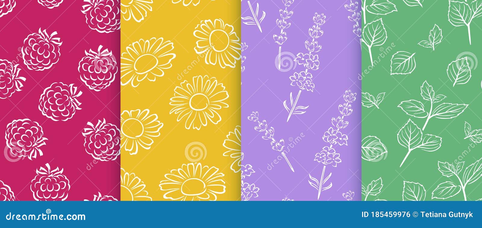 Set of Botanical Outline Seamless Pattern. Vector Contour of Berry ...