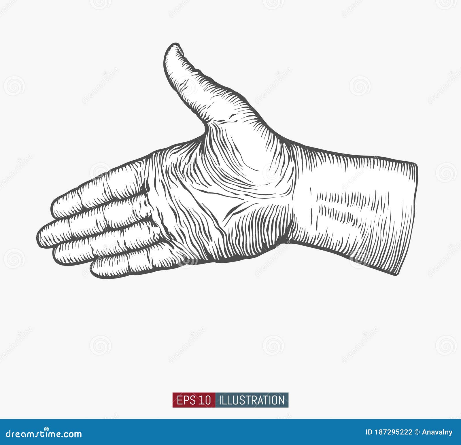 Hand Drawn Hand. Greeting Gesture. Engraved Style Vector Illustration ...