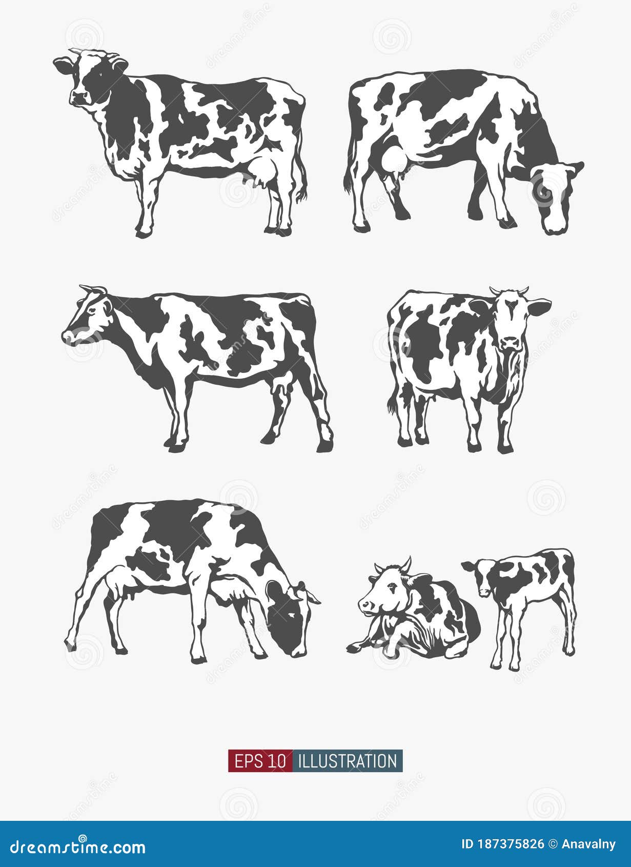 Cows Set. Vector Illustration. Template for Your Design Works. Stock ...