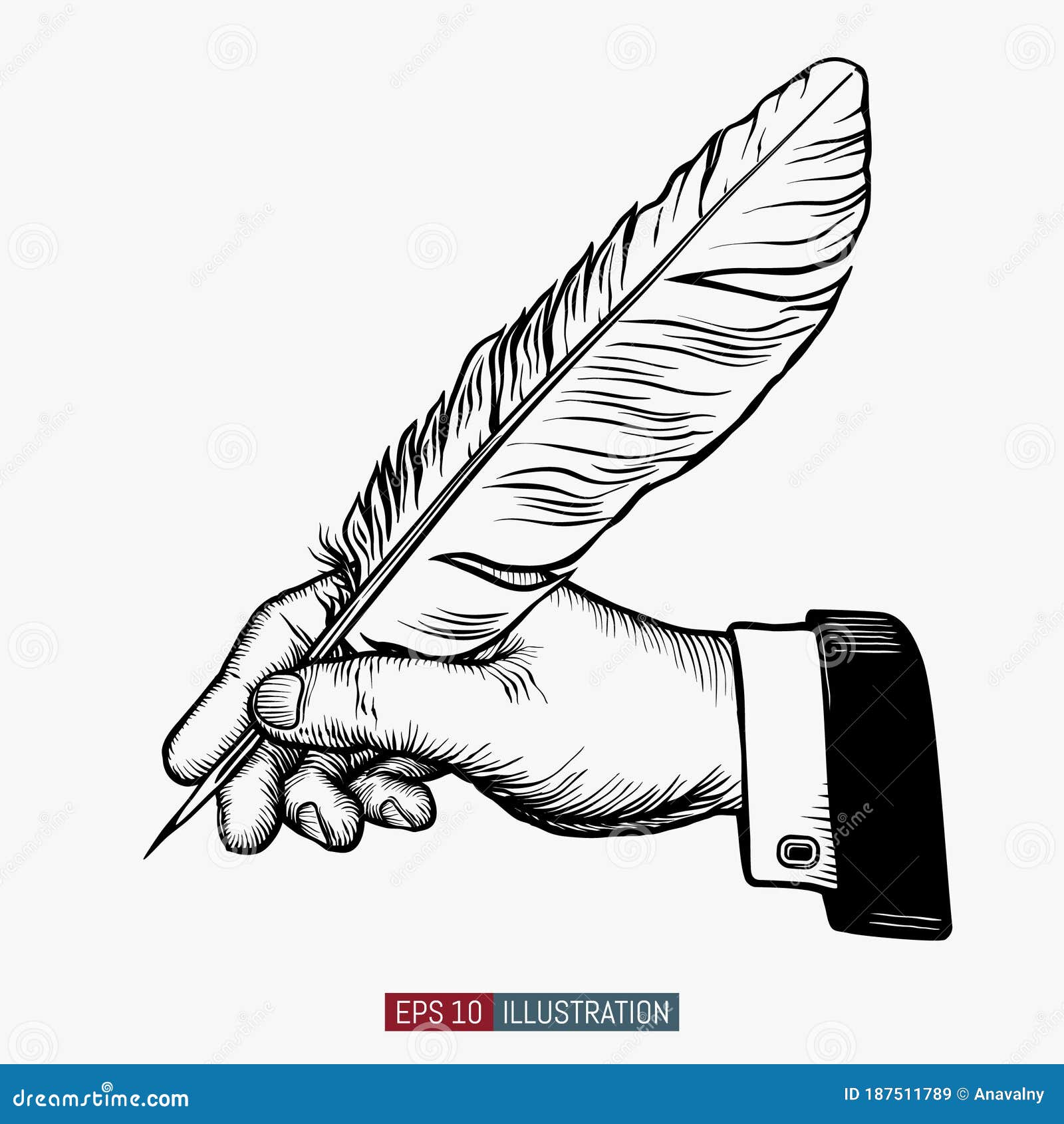 Hand Drawn Hands Holding Feather. Template for Your Design Works Stock ...