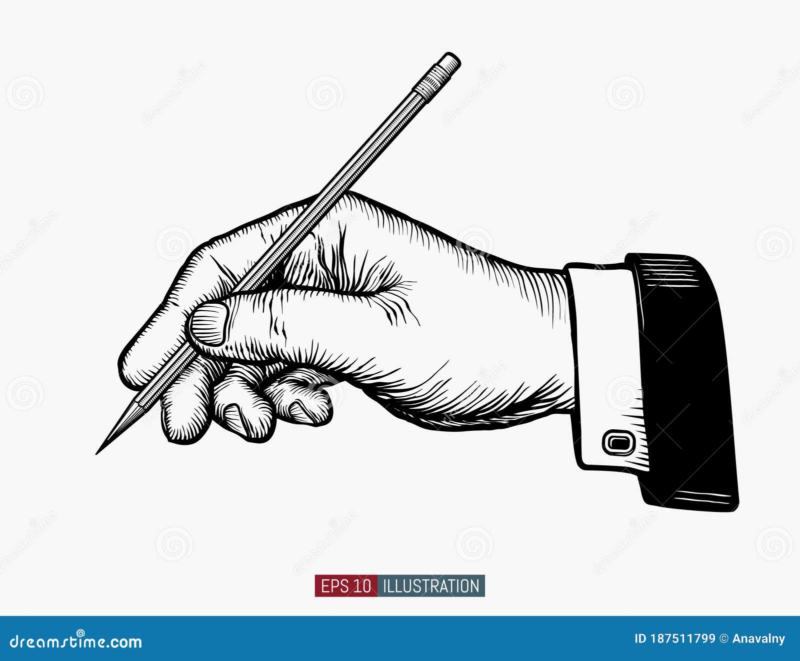 Hand Drawn Hands Holding Pencil. Template for Your Design Works Stock ...