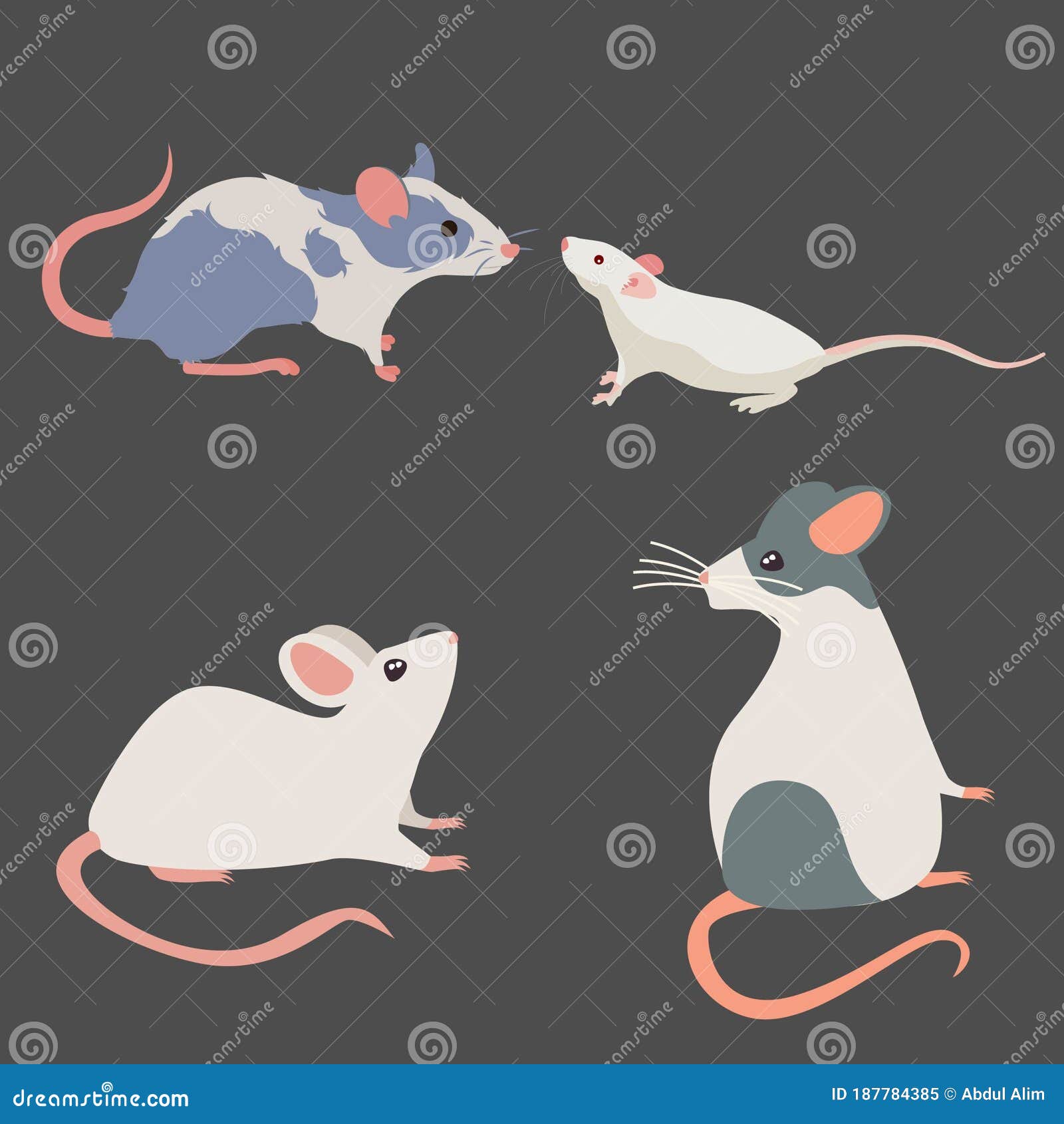 Rat Breeds Icon Set Flat Style Isolated on White Stock Vector ...