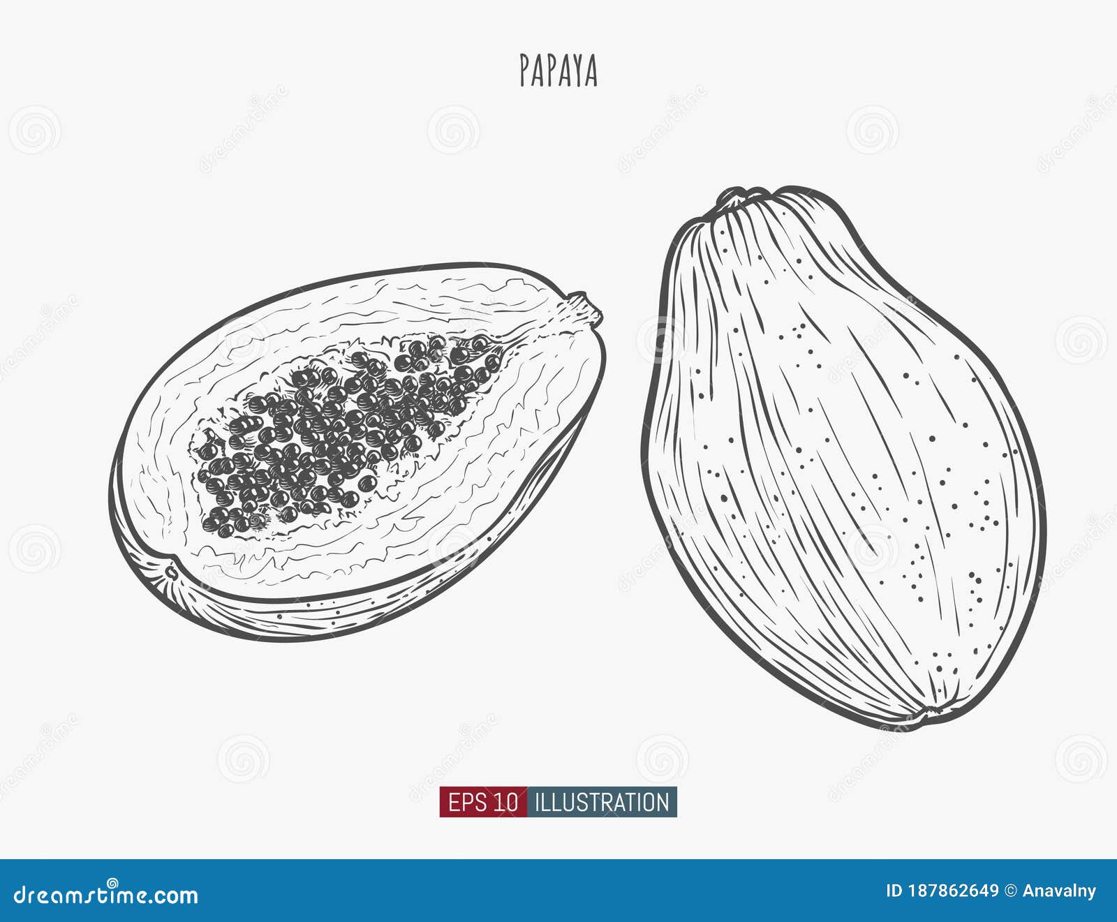 Cut Papaya Template Card, Slice Fresh Fruit Poster On White Background ...