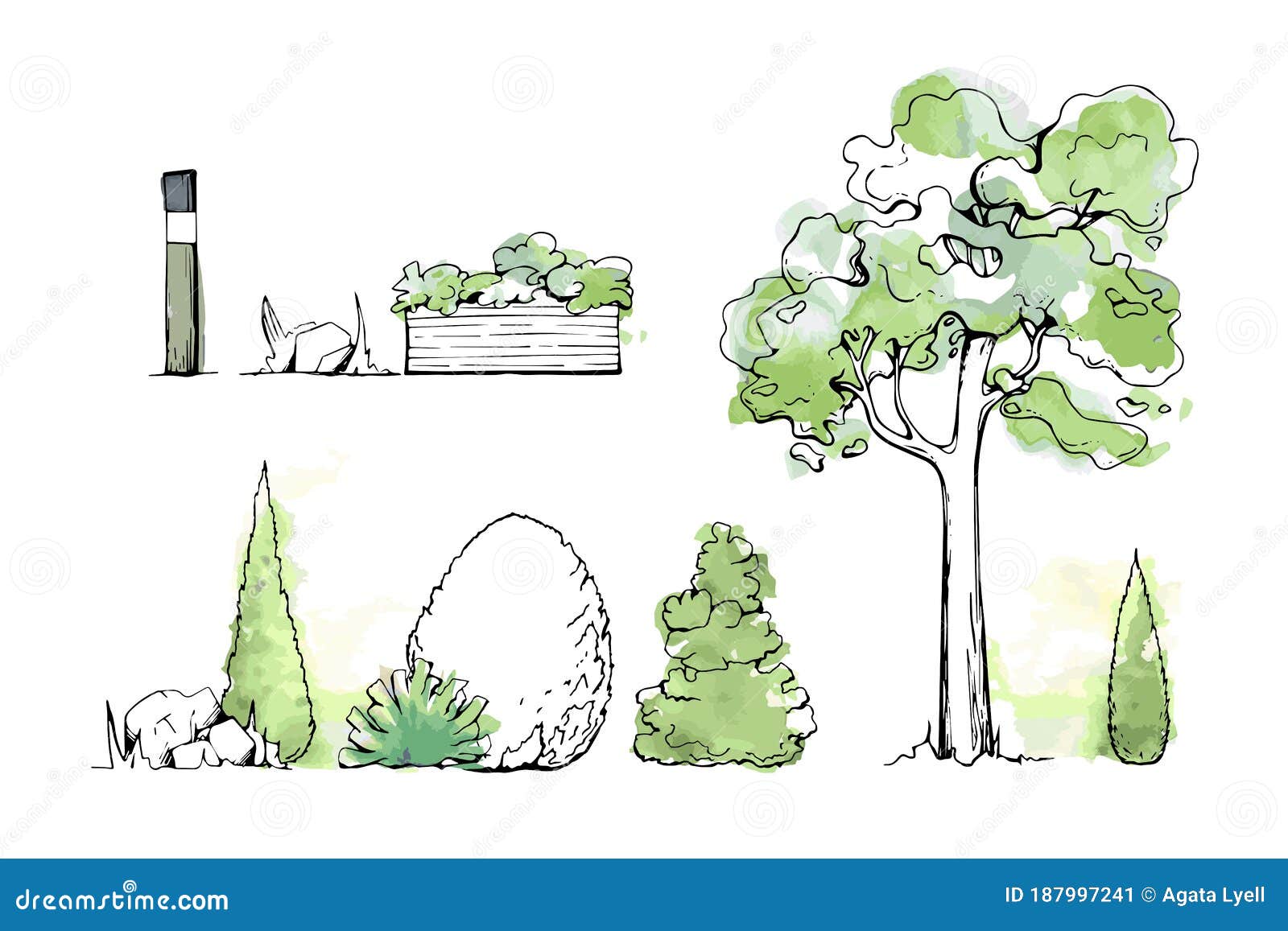 Street_tree_colour-01 stock vector. Illustration of color - 187997241