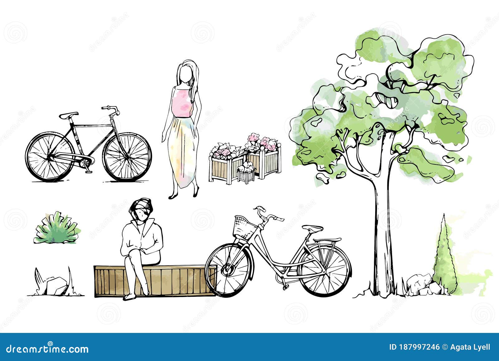 Street_tree_colour-03-01 stock vector. Illustration of draw - 187997246