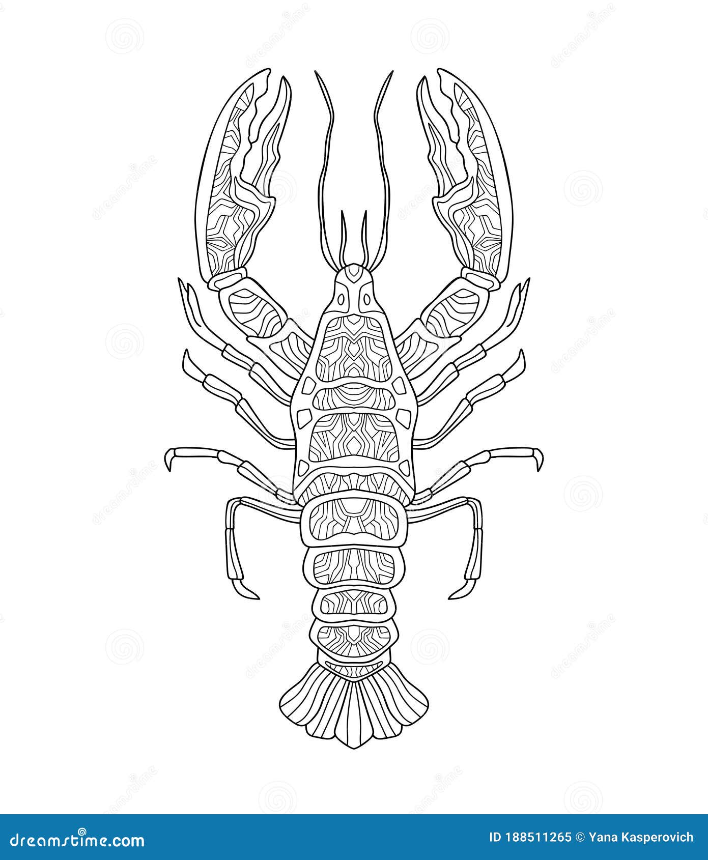 Crayfish Coloring Pages Drawing For Kids Vector Illustration ...