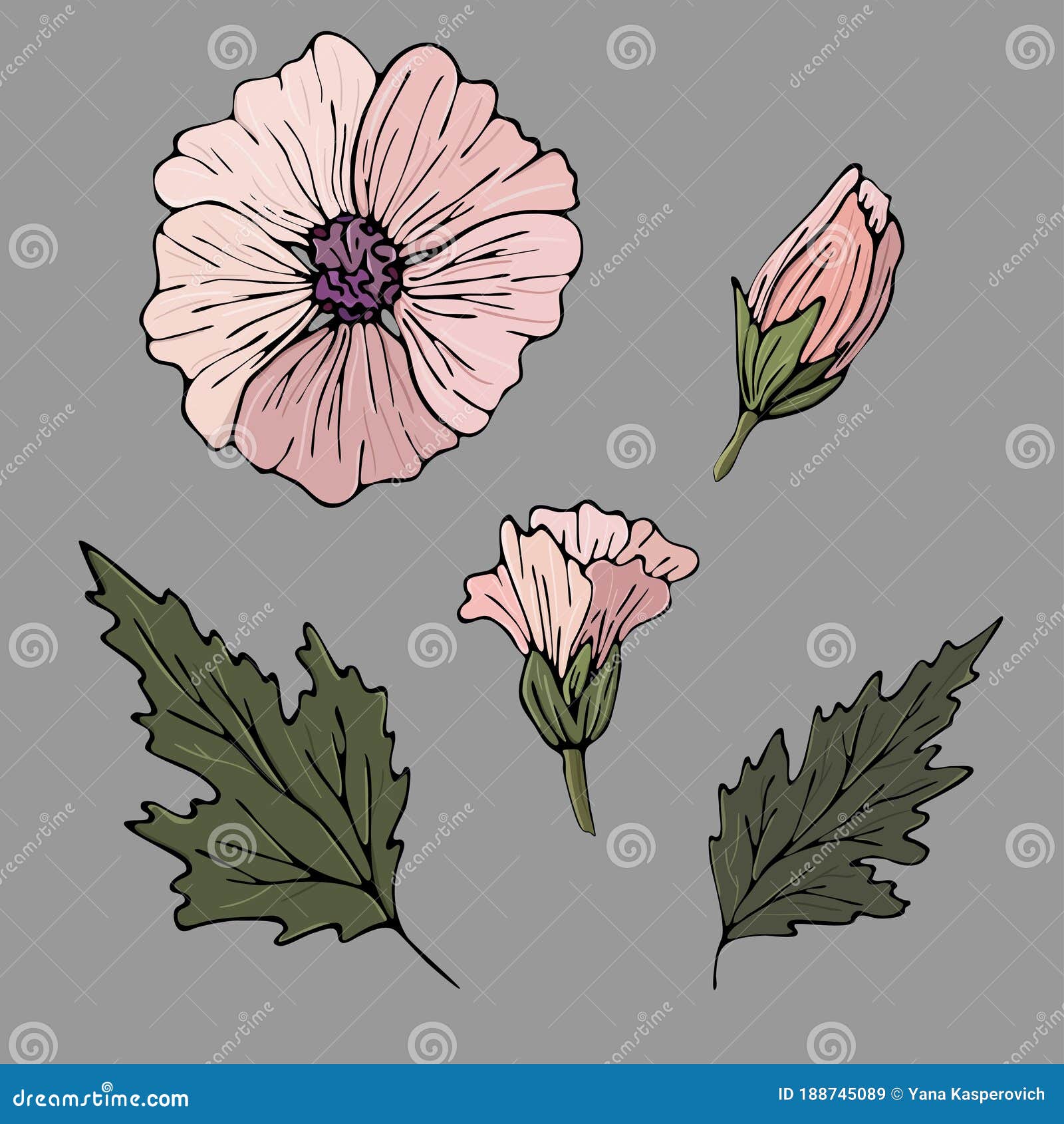 Set from Spring Althaea Flowers and Leaves on Gray Isolated Background ...