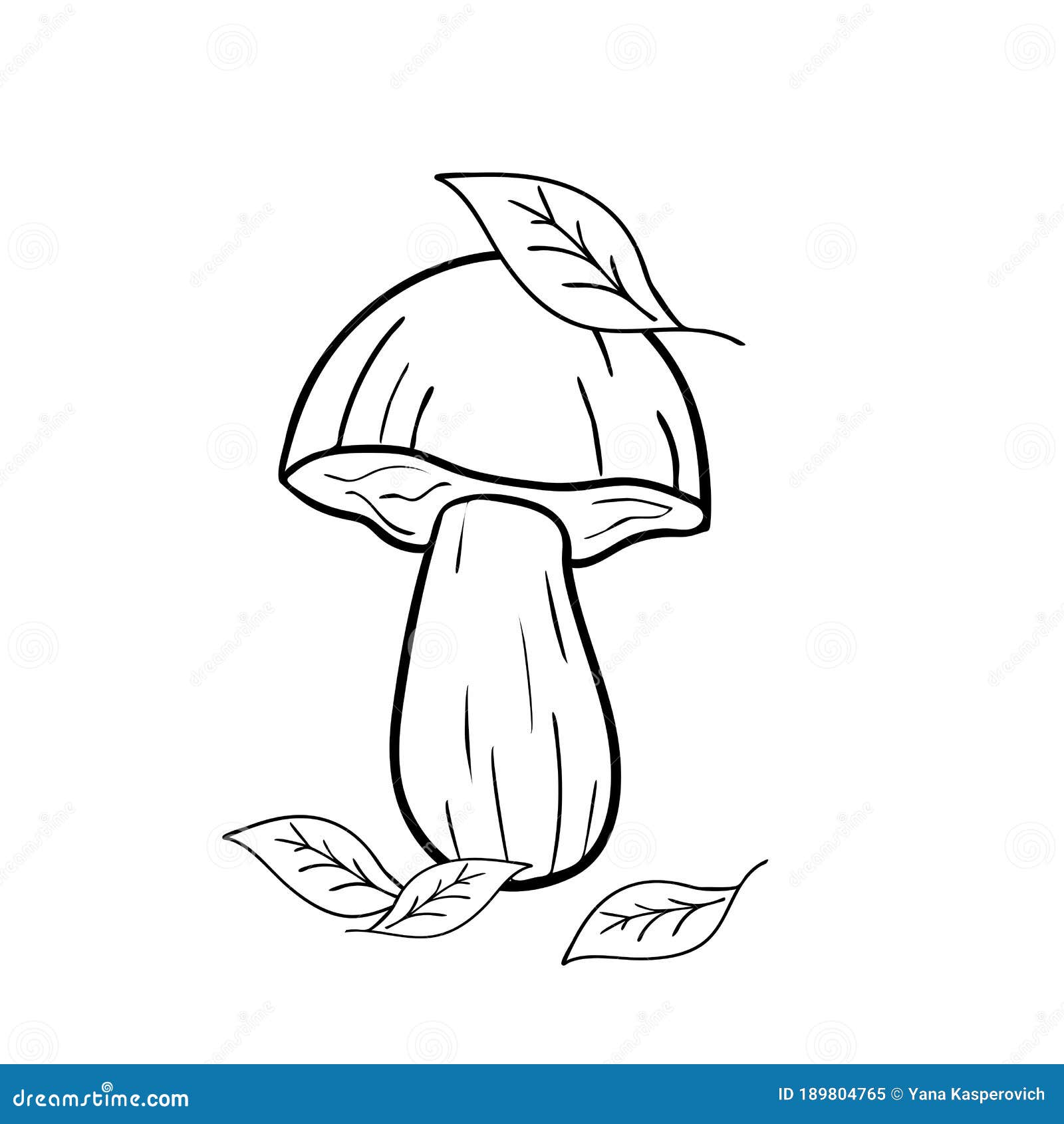Line Drawing Mushroom with Leaves on White Isolated Background. Food ...