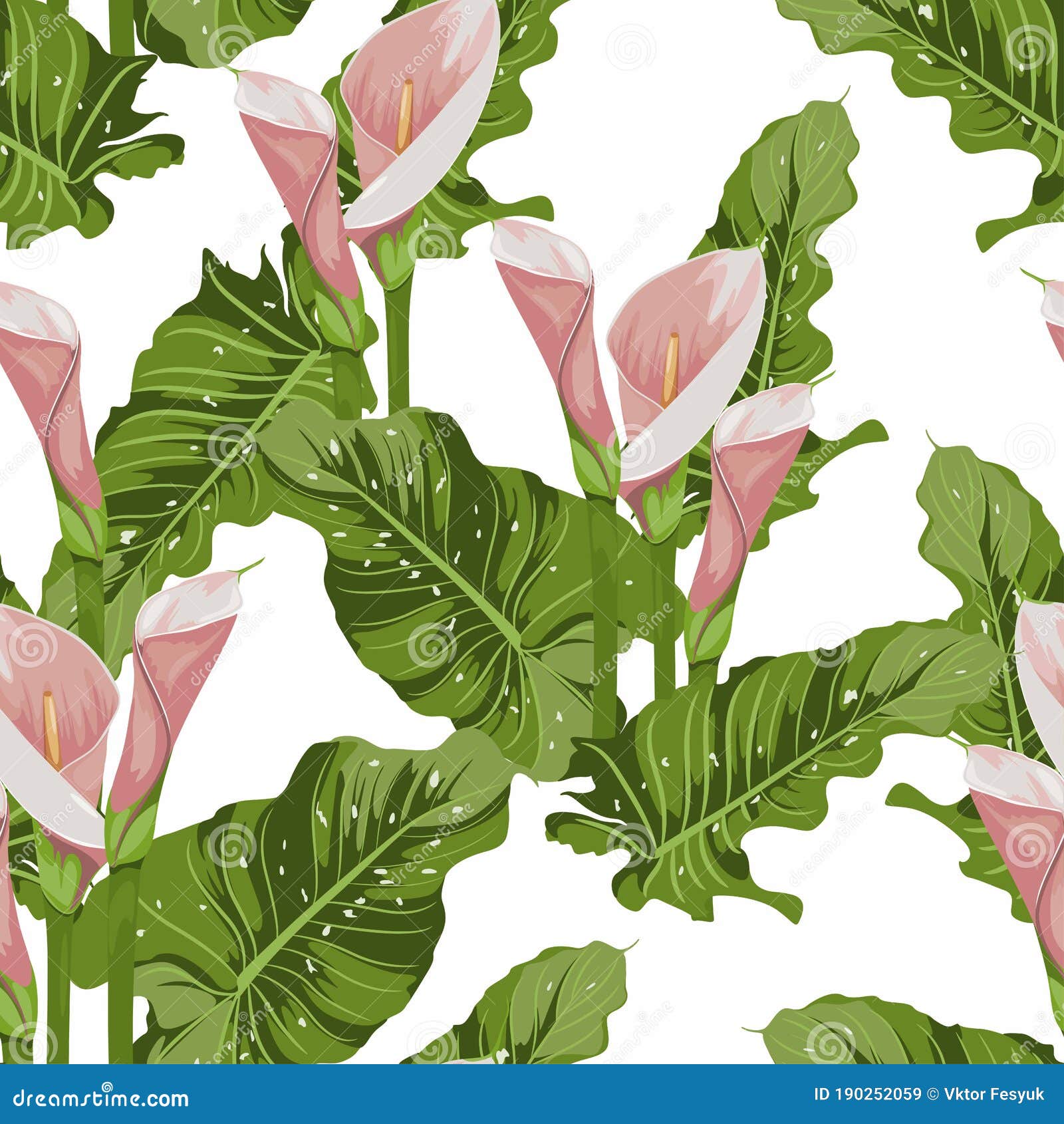 Seamless Pattern of Pink Calla Lily Flowers with Leaves on White ...