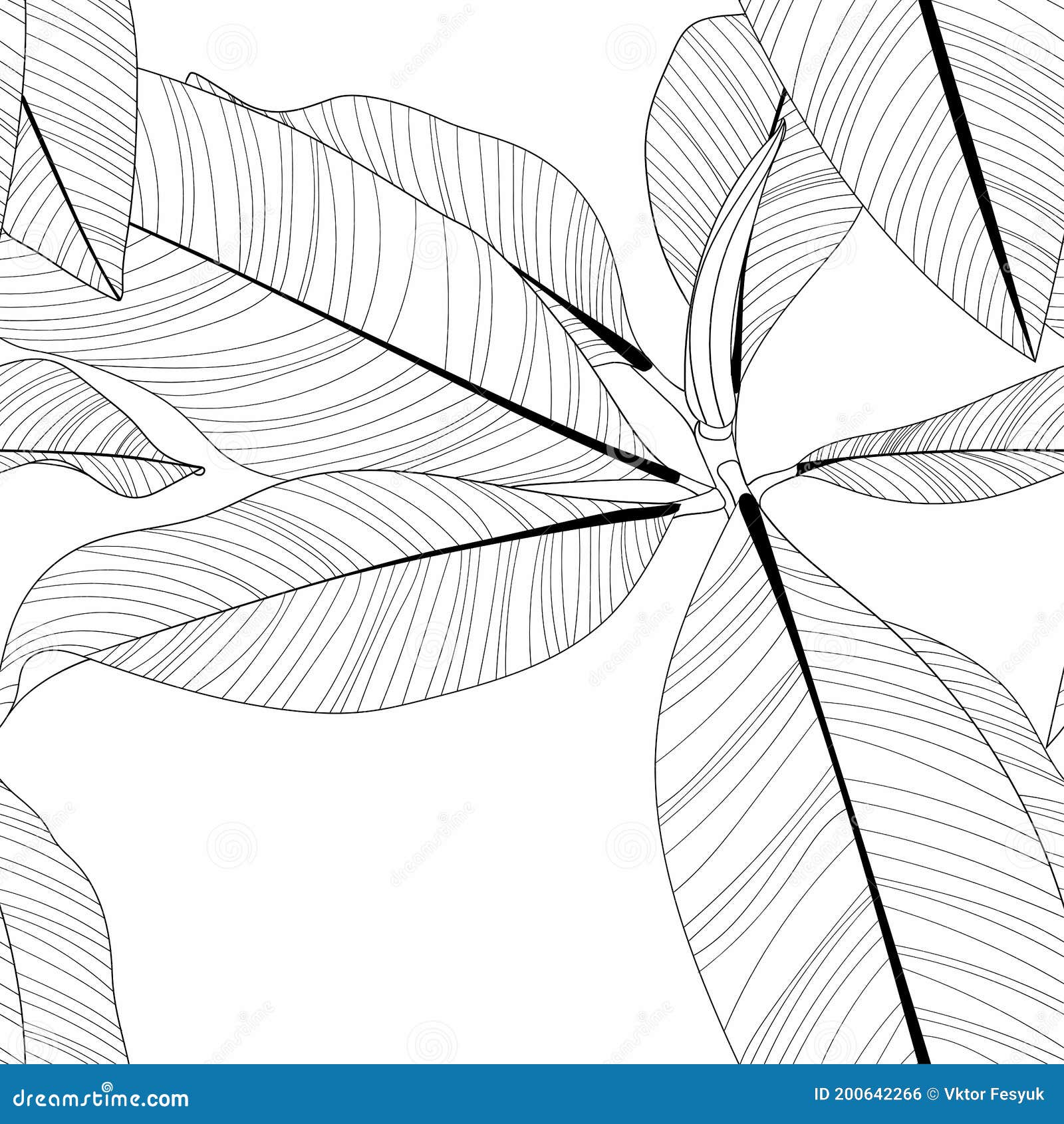 Foliage Seamless Pattern, Palm, Ficus Elastica Tree Branch Leaves Line ...
