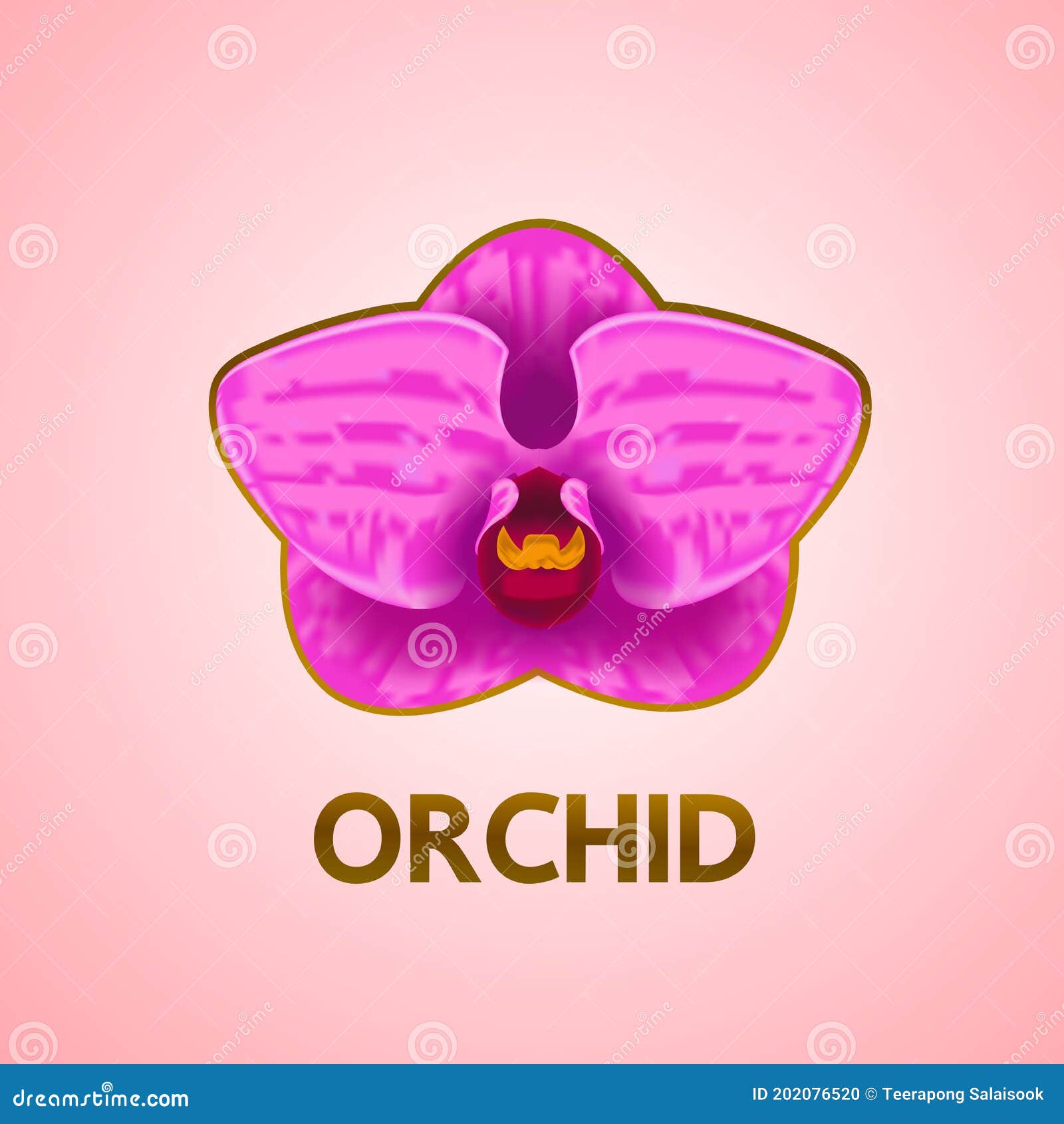 The Premium Grand Orchid Design Concept Vector Illustration. Stock ...