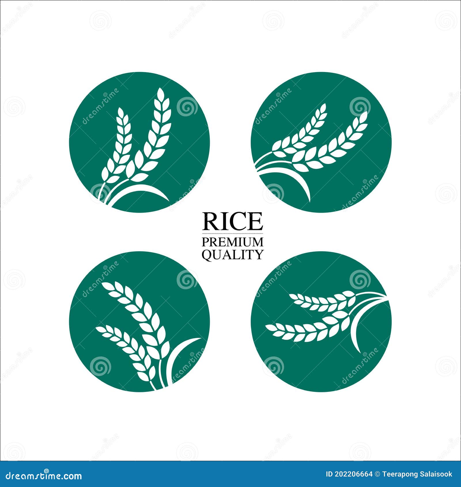 Premium Rice Great Quality Design Concept Vector. Editorial Stock Image ...