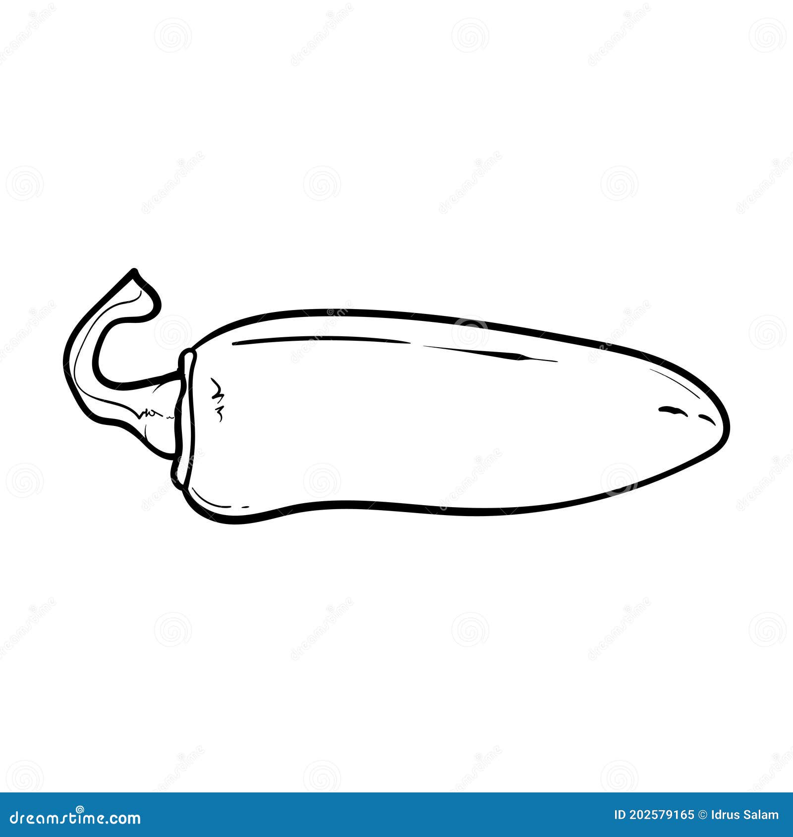 Fresh Chilli Pepper with Hand Drawing or Sketch Style. Sketch of ...