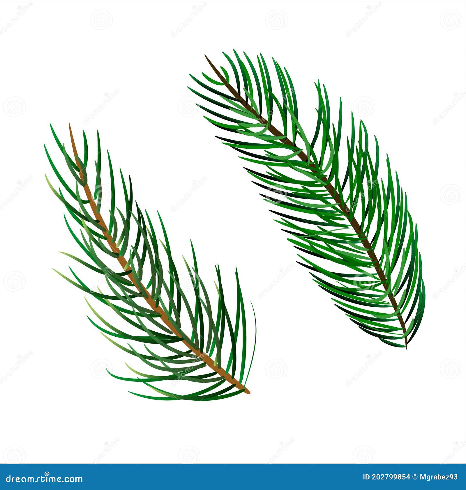 Realistic Evergreen Branches for Christmas Decor Stock Vector ...