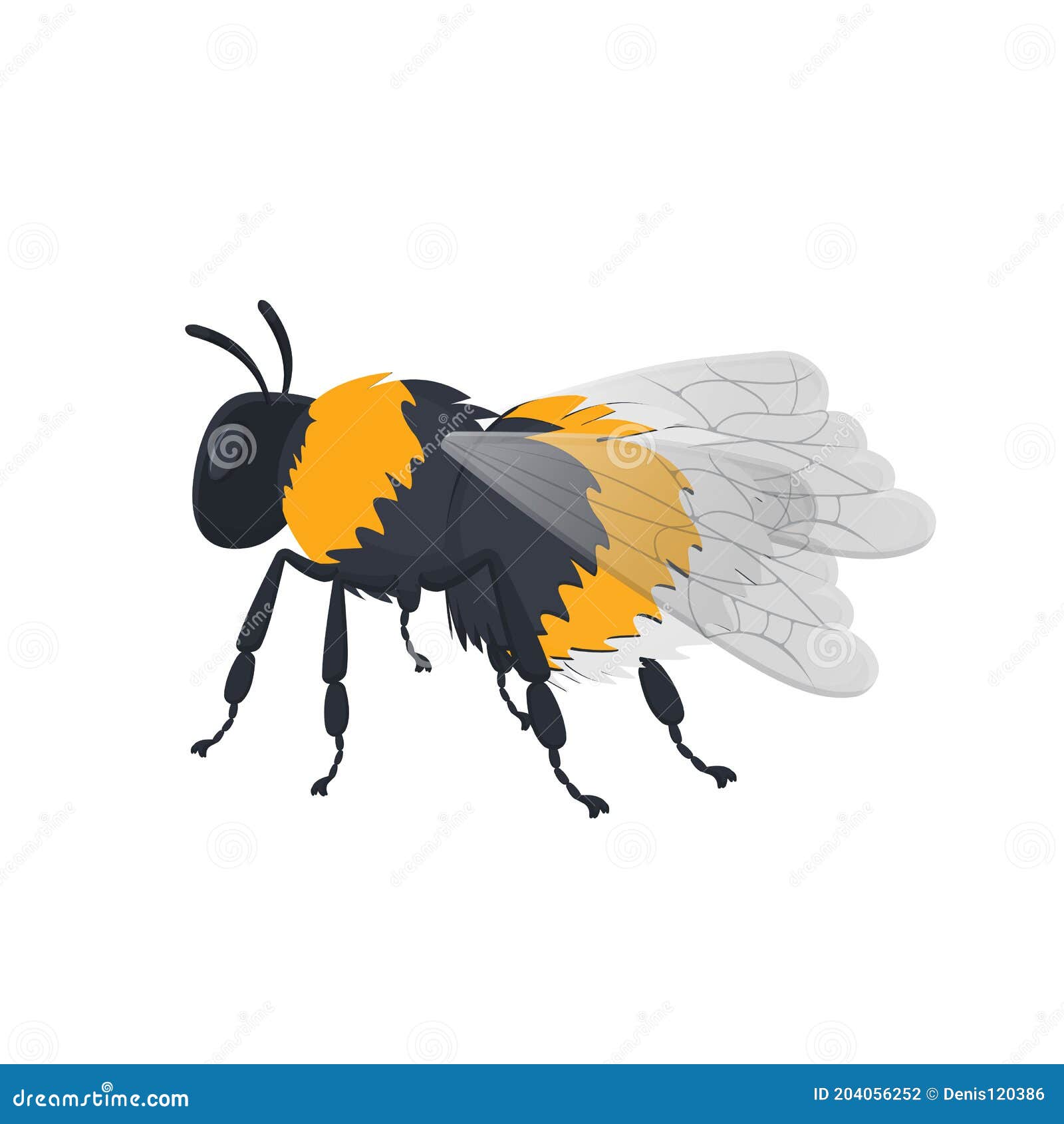 Bumblebee. Bumblebee Insect, Vector Illustration Stock Vector ...