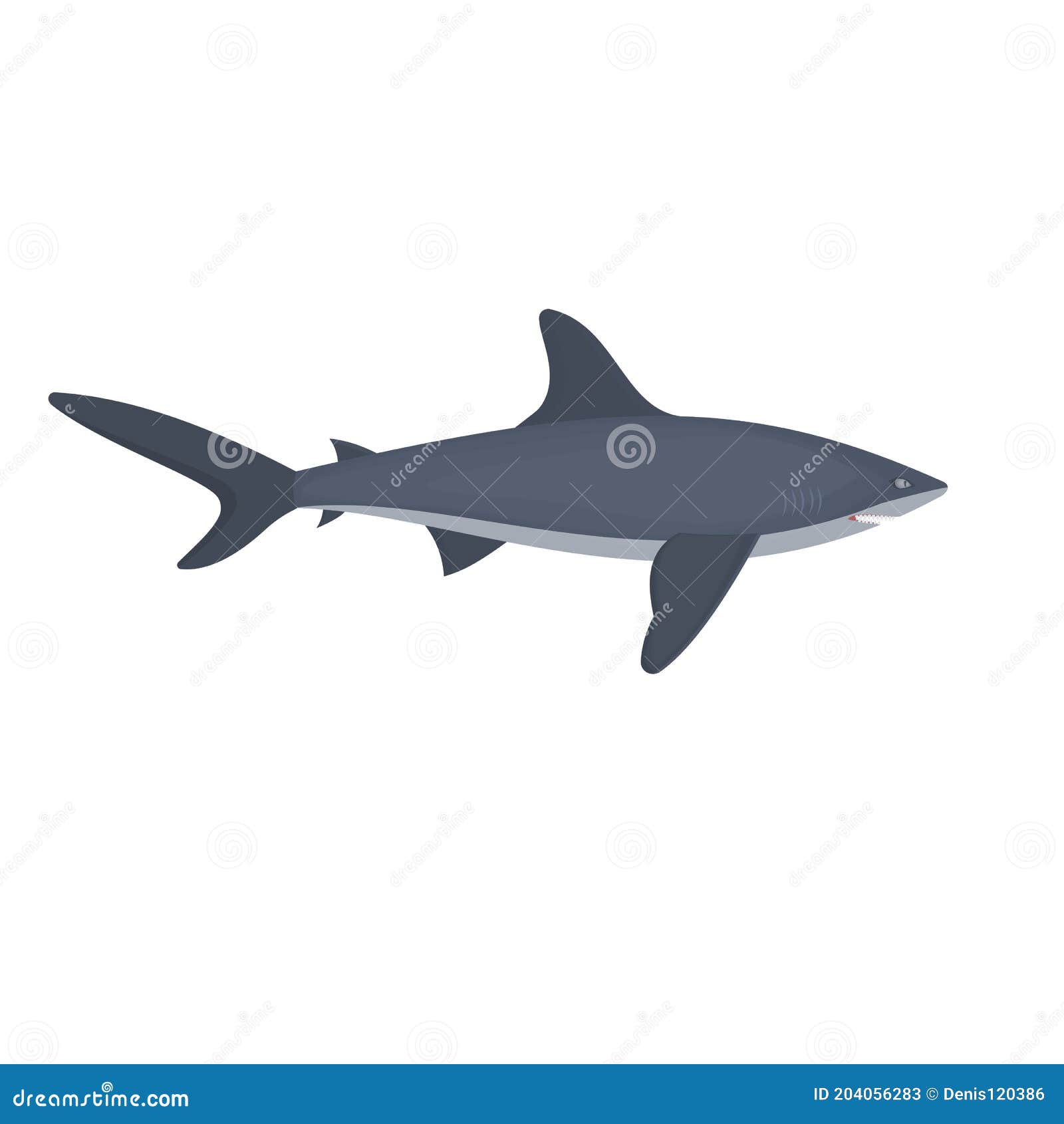 Shark. Shark Fish, Vector Illustration Stock Vector - Illustration of ...