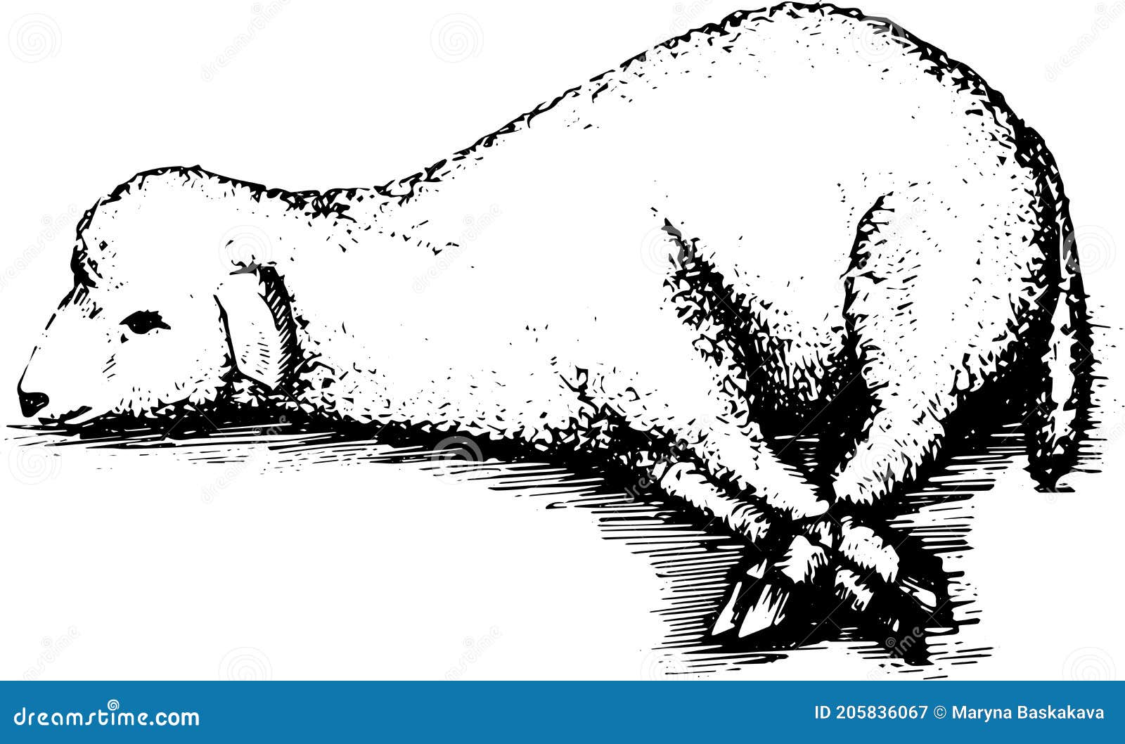 Sacrificial Lamb Stock Illustrations – 204 Sacrificial Lamb Stock ...