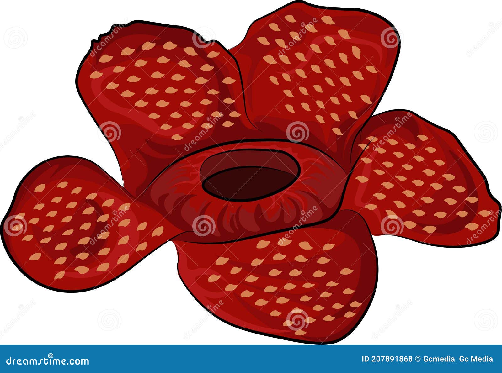 Rafflessia stock vector. Illustration of pink, pattern - 207891868