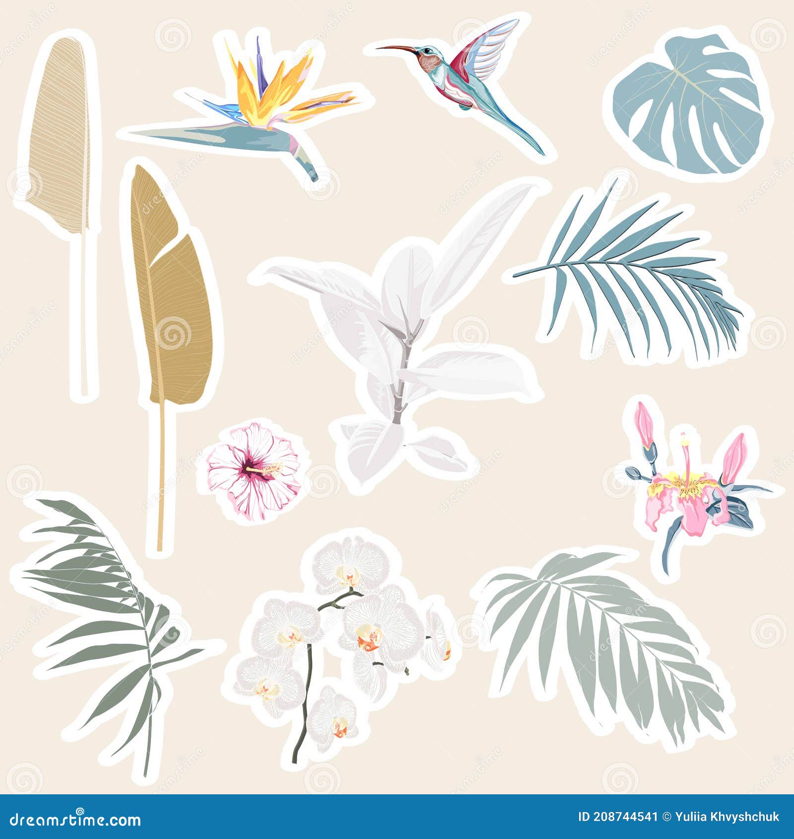 Cute Tropical Set of Different Stickers with Wild Birds Exotic Flowers ...