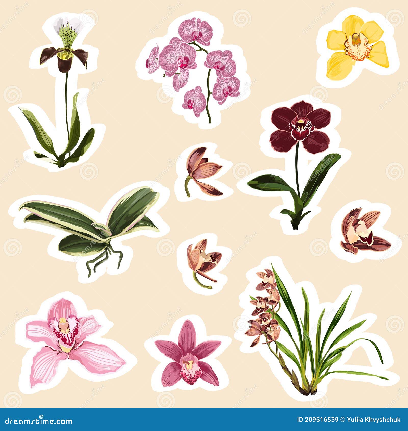 Set of Tropical Orchids Flowers Elements. Set of Stickers, Pins ...