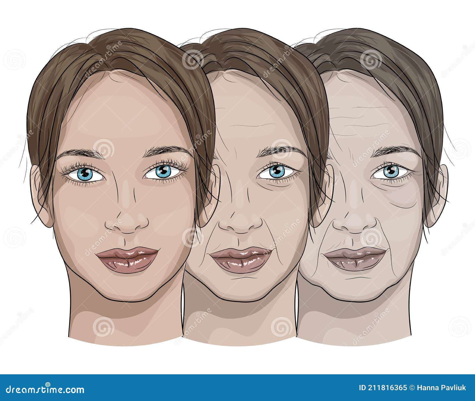 Illustration of a Woman`s Face in the Aging Process Stock Vector ...