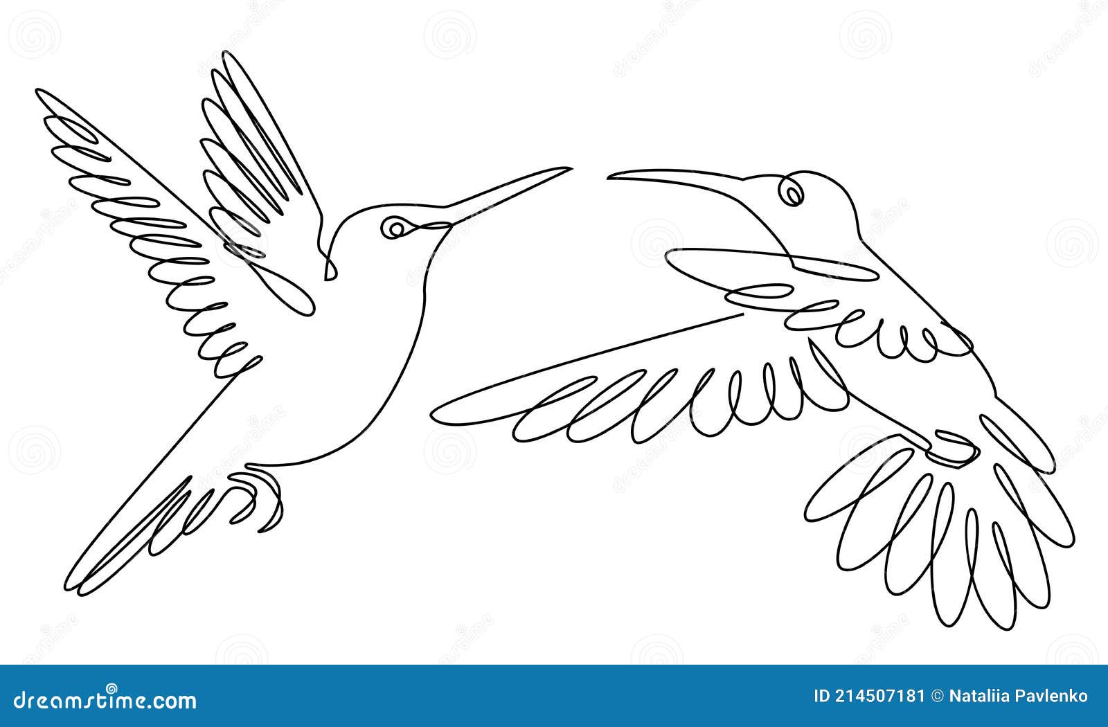 Two Hummingbirds Are Flying. Birds In A Modern One Line Style. Solid ...