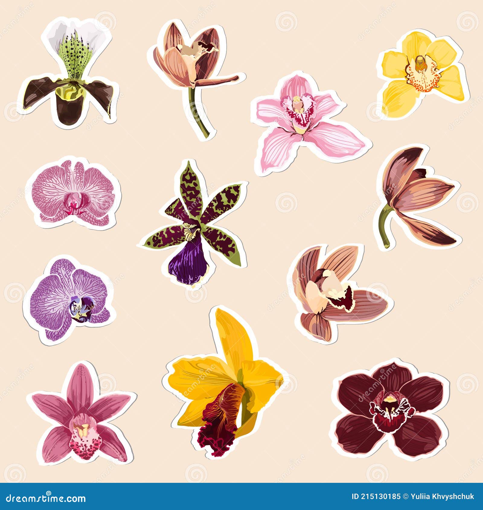 Set of Tropical Orchids Flowers Elements. Set of Stickers, Pins ...