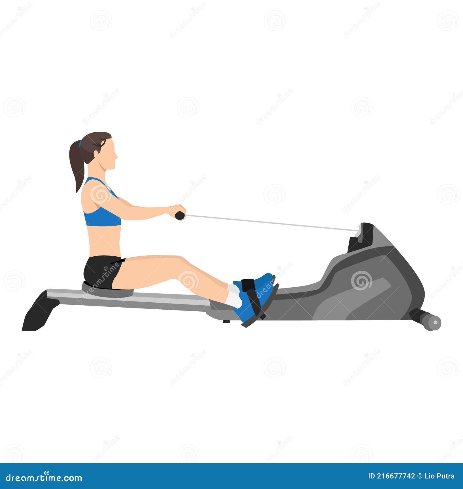 Woman Doing Cardio. Rowing Machine Stock Vector - Illustration of bench ...