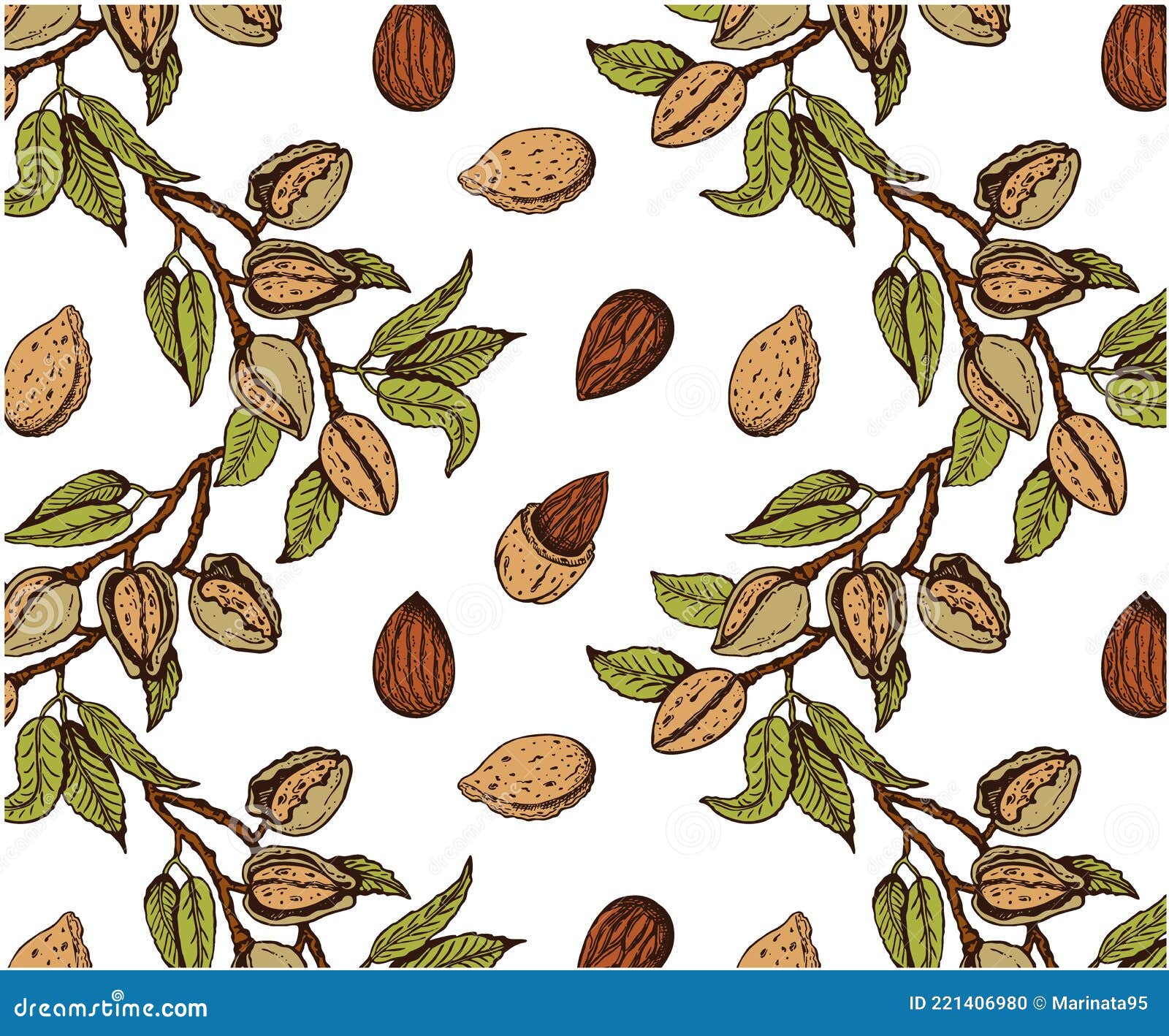 Outline Nutshell Stock Illustrations – 2,159 Outline Nutshell Stock ...