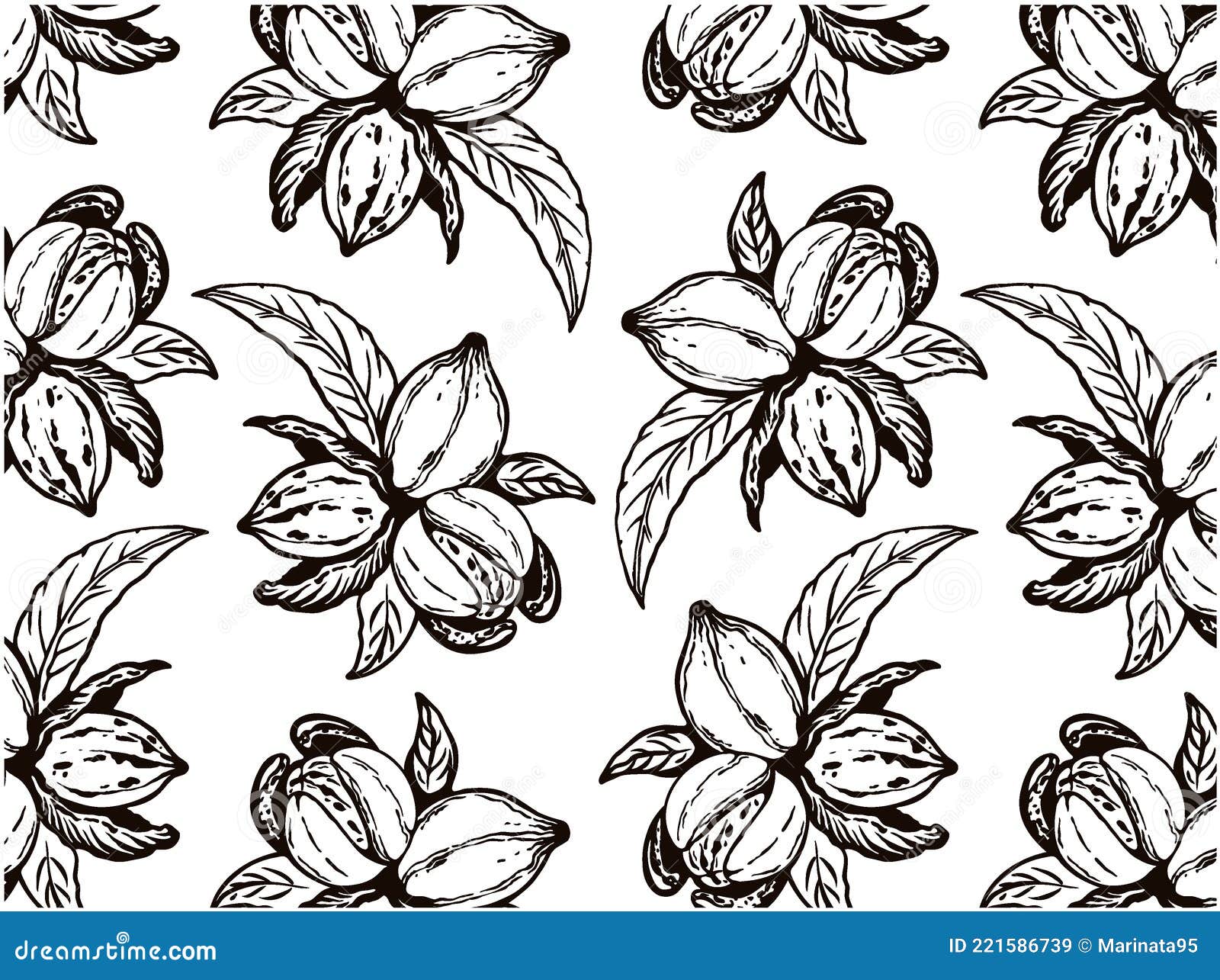 Sketch Drawing Pattern with Black Engraved Pecan Nuts with Leaves ...