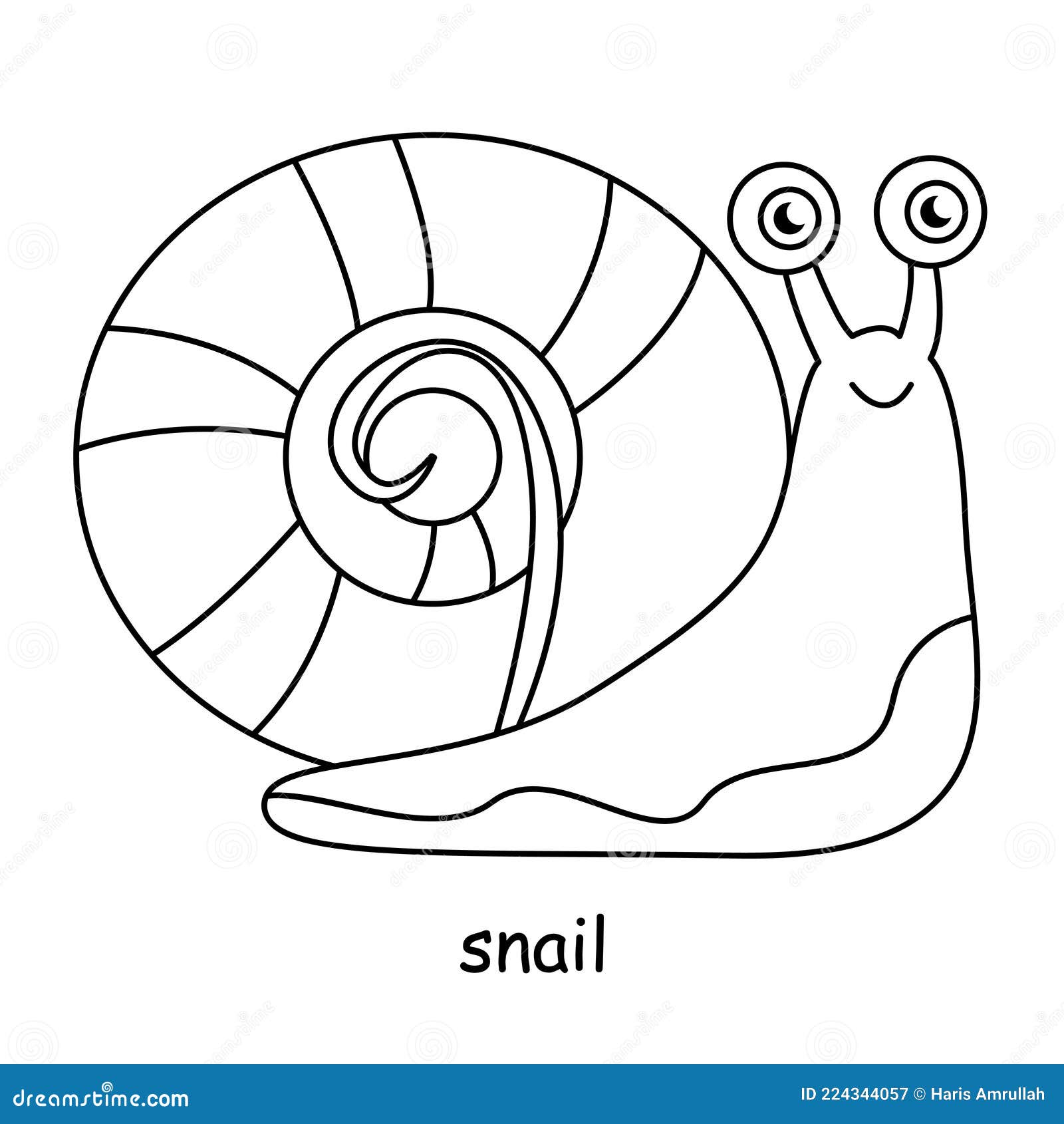 Snail Outline Illustration On White Background. Slow Pace Concept ...