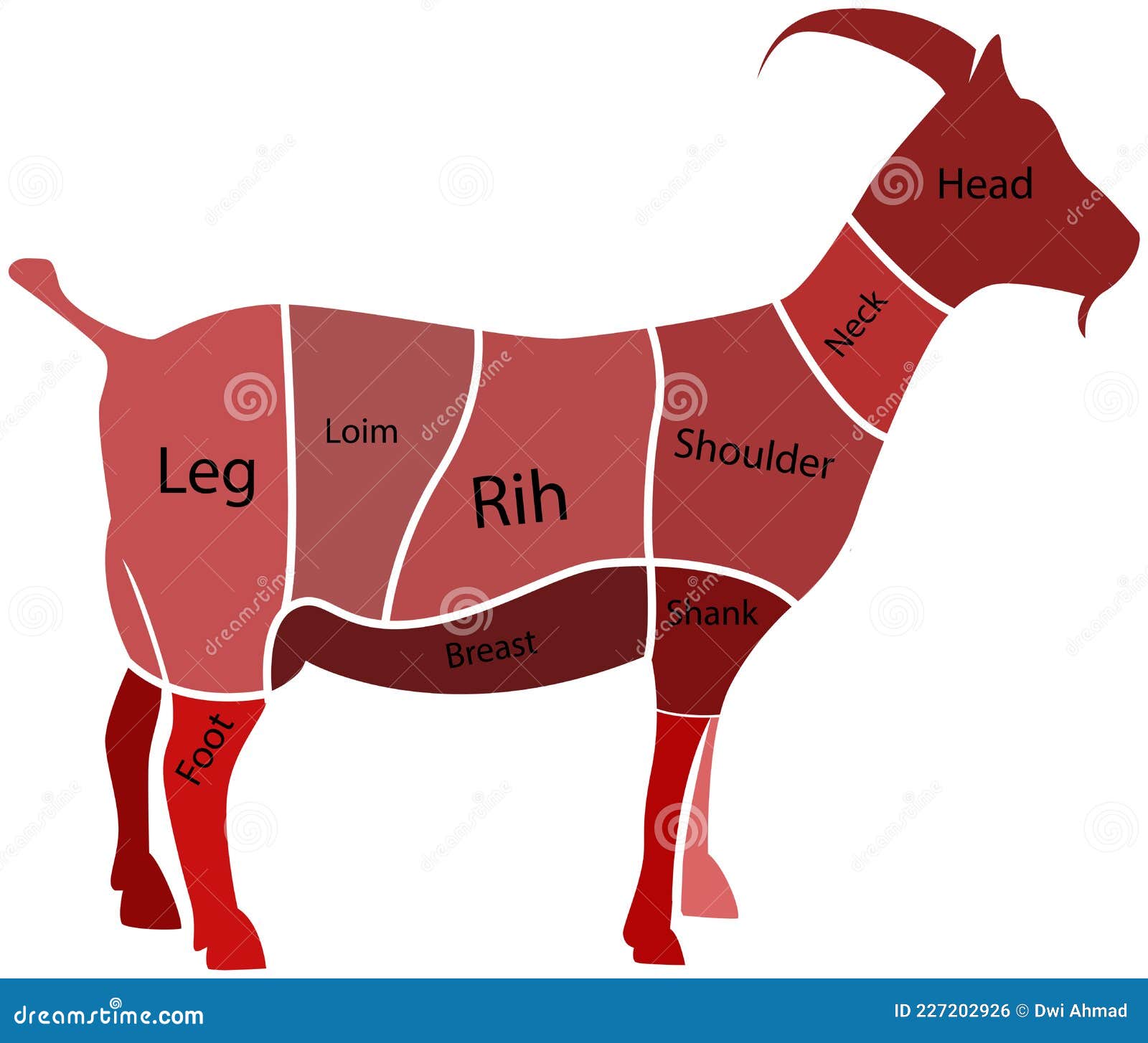 Part of goat stock illustration. Illustration of goat - 227202926