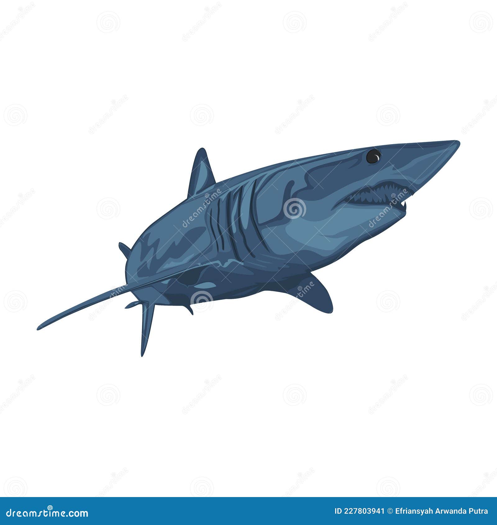 Vector Illustration of a Shark in Blue on a White Background Stock ...