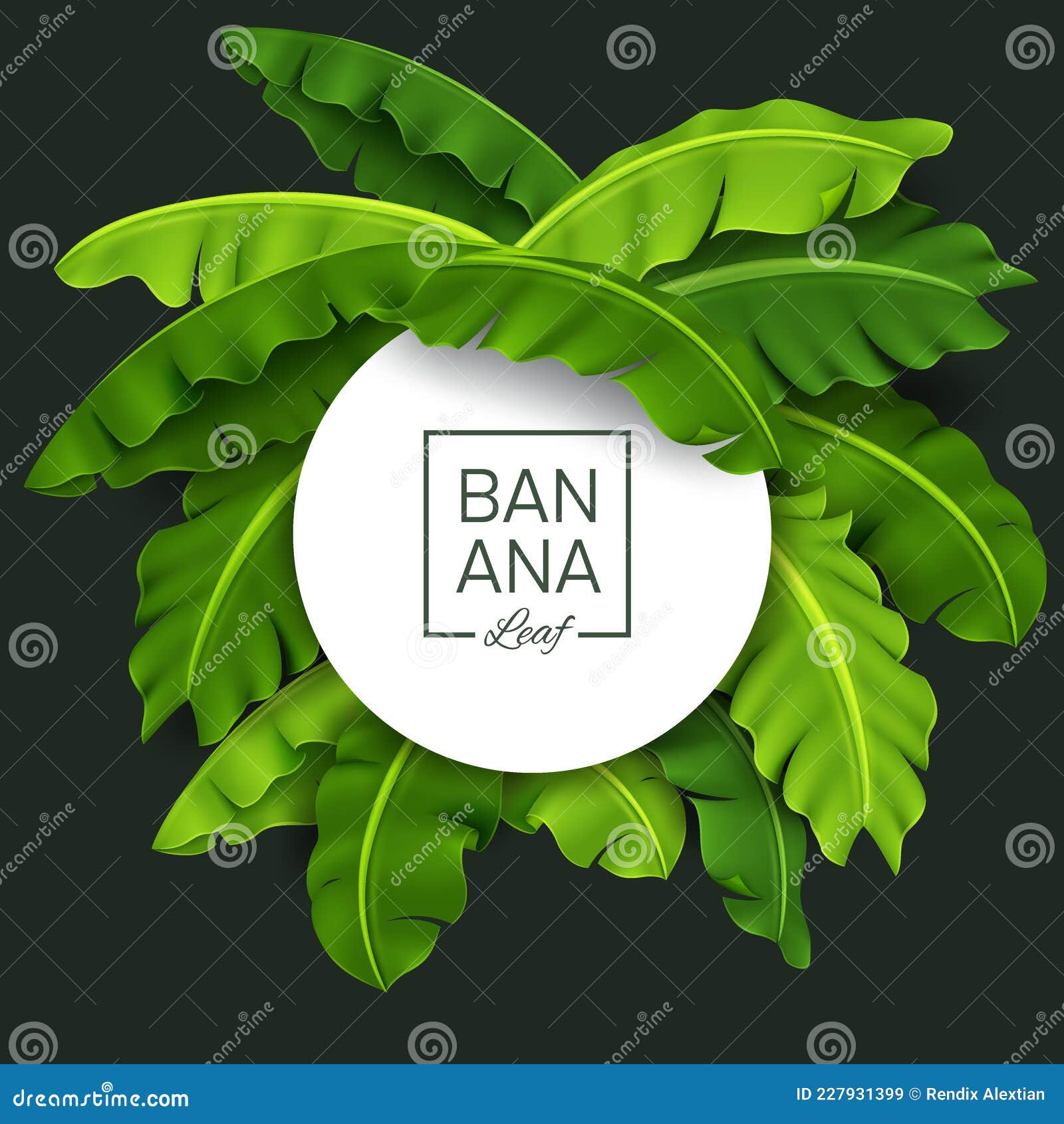 Banana Leaves Banner, Green Tropical Leaf, Realistic and Look Fresh ...