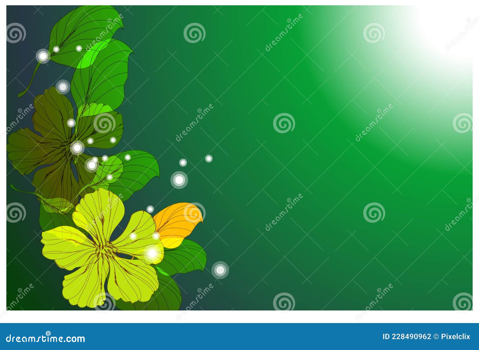 Flowers and Petals in Green Transparent Gradient. Stock Illustration ...
