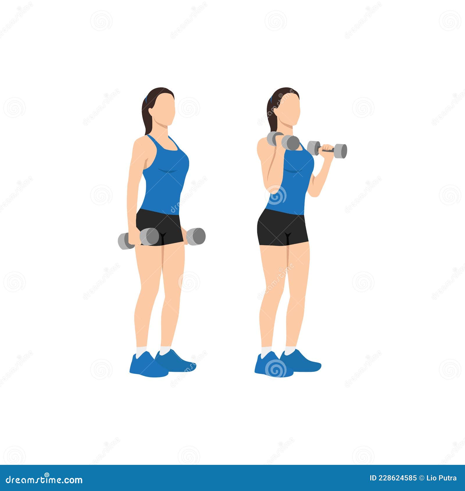 Woman Doing Dumbbell Bicep Hammer Curls. Flat Vector Stock Vector ...